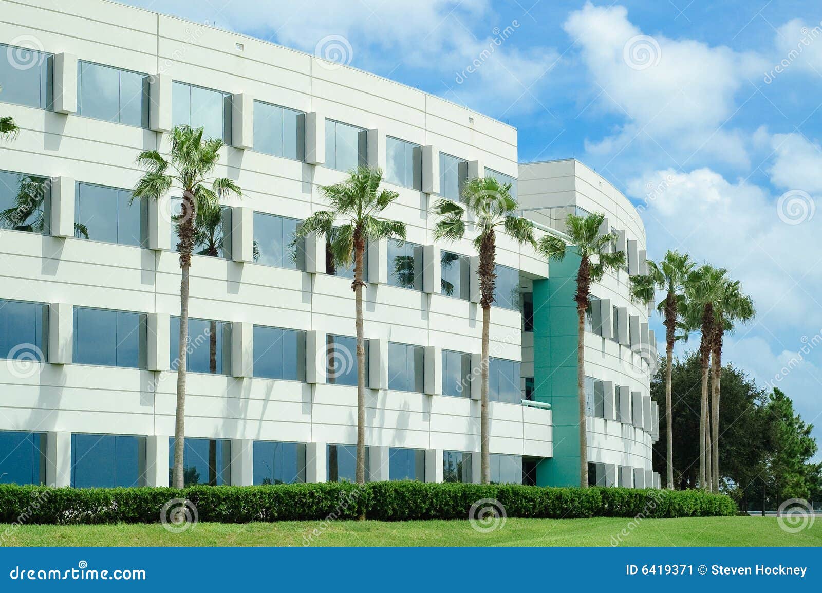 Office Building with Palms. Stock Image - Image of business, building ...