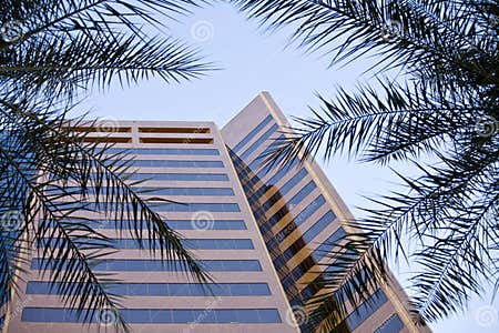 Office Building Phoenix Arizona Stock Image - Image of branches, skies ...