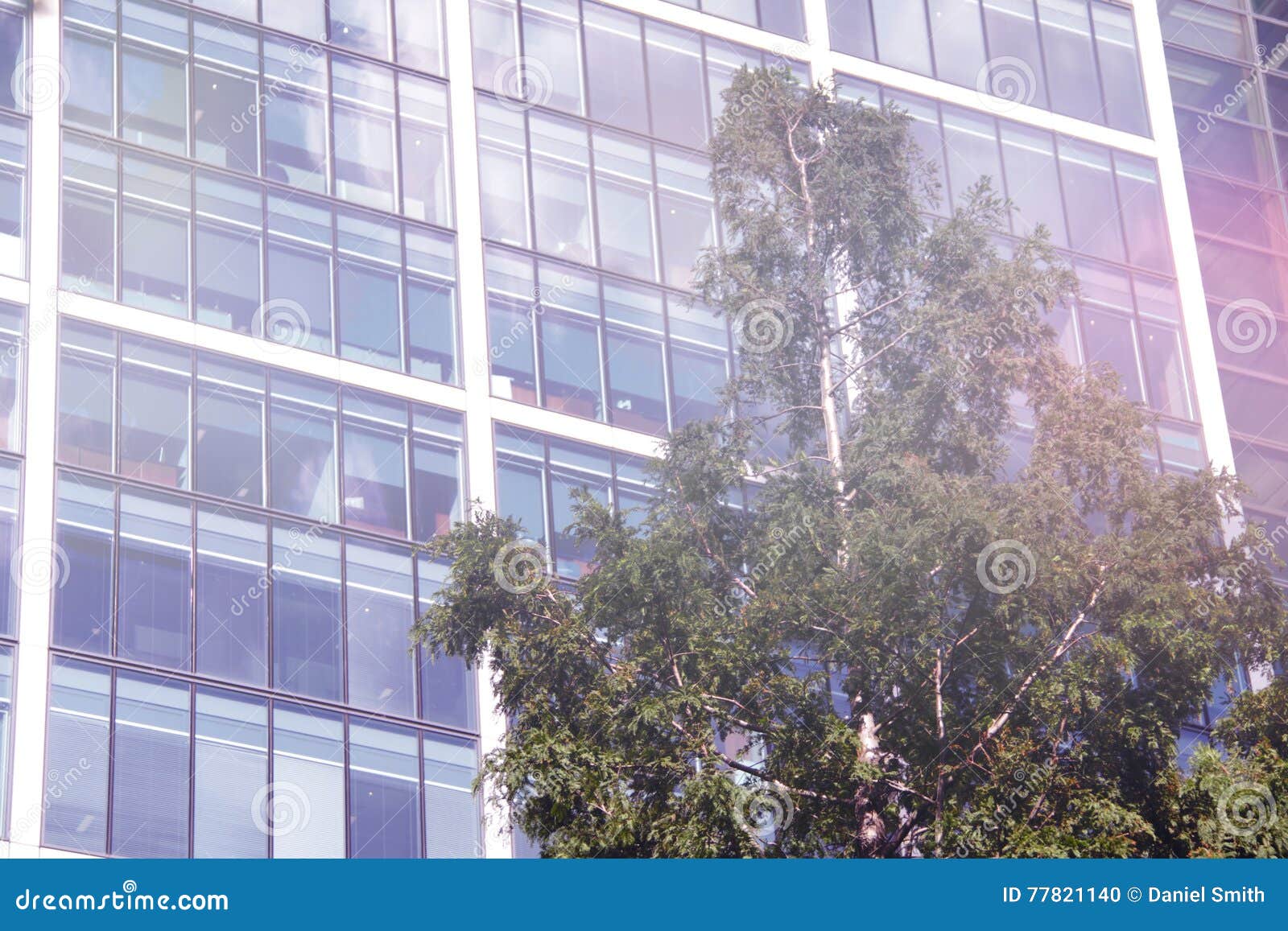 Office Building with a Tree Stock Photo - Image of interest, landmark ...