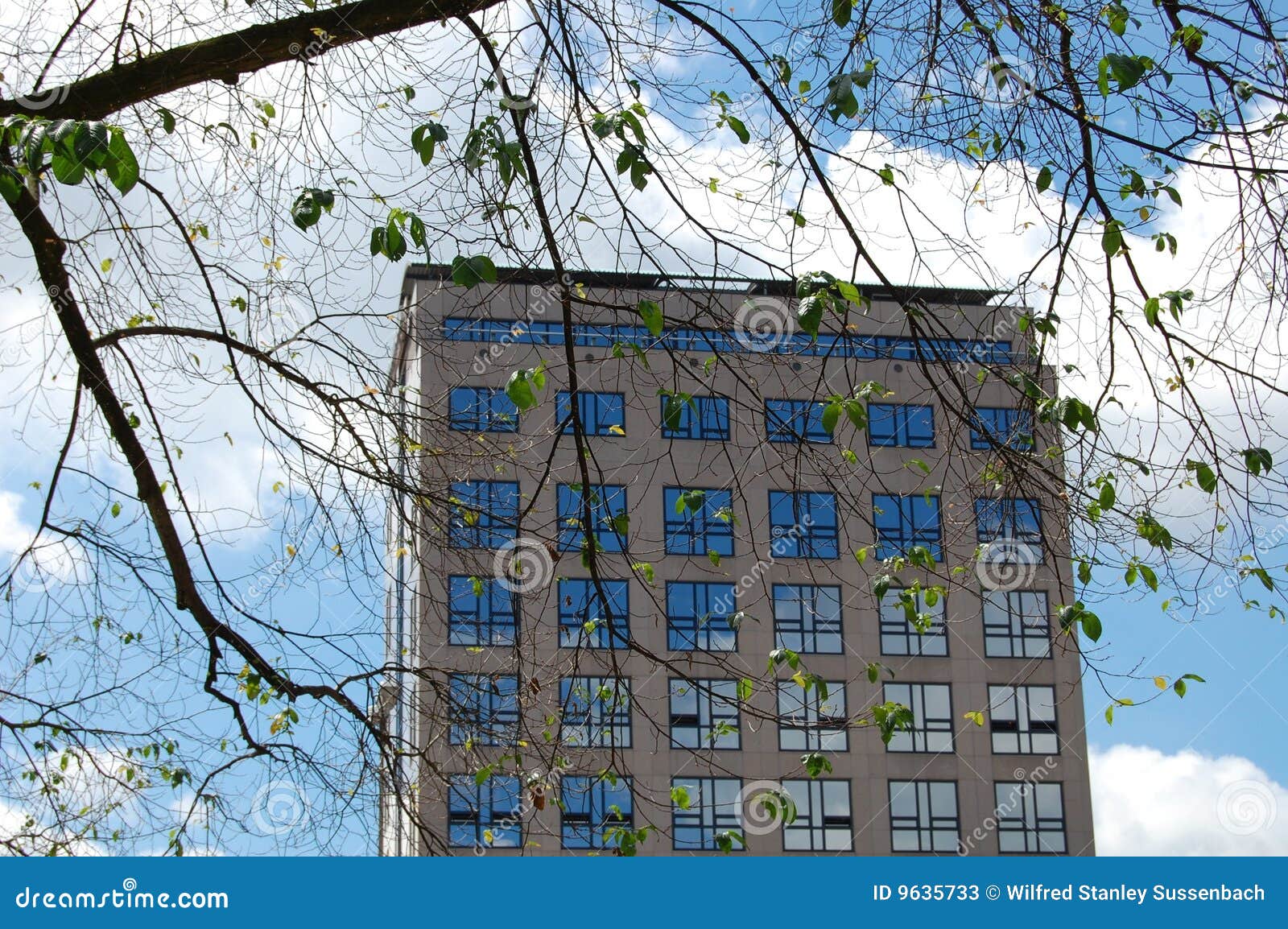 Office Building with a Tree and Leaves during Fall Stock Image - Image ...