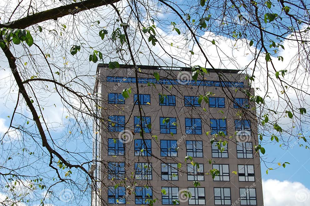 Office Building with a Tree and Leaves during Fall Stock Image - Image ...