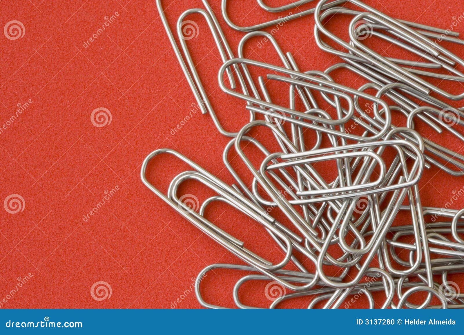 Office Clips stock photo. Image of secretary, paperclips - 3137280