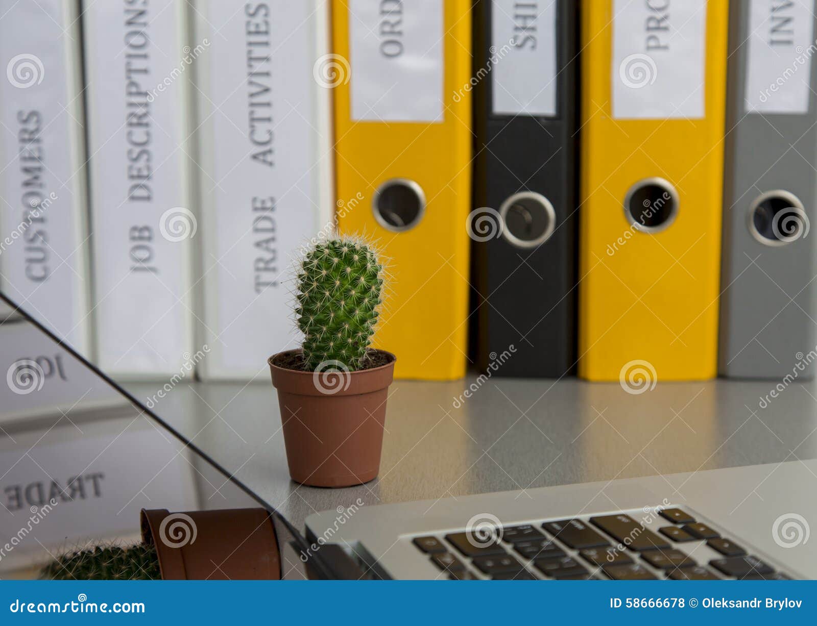 Office Composition with Cactus Stock Photo - Image of table, desk: 58666678