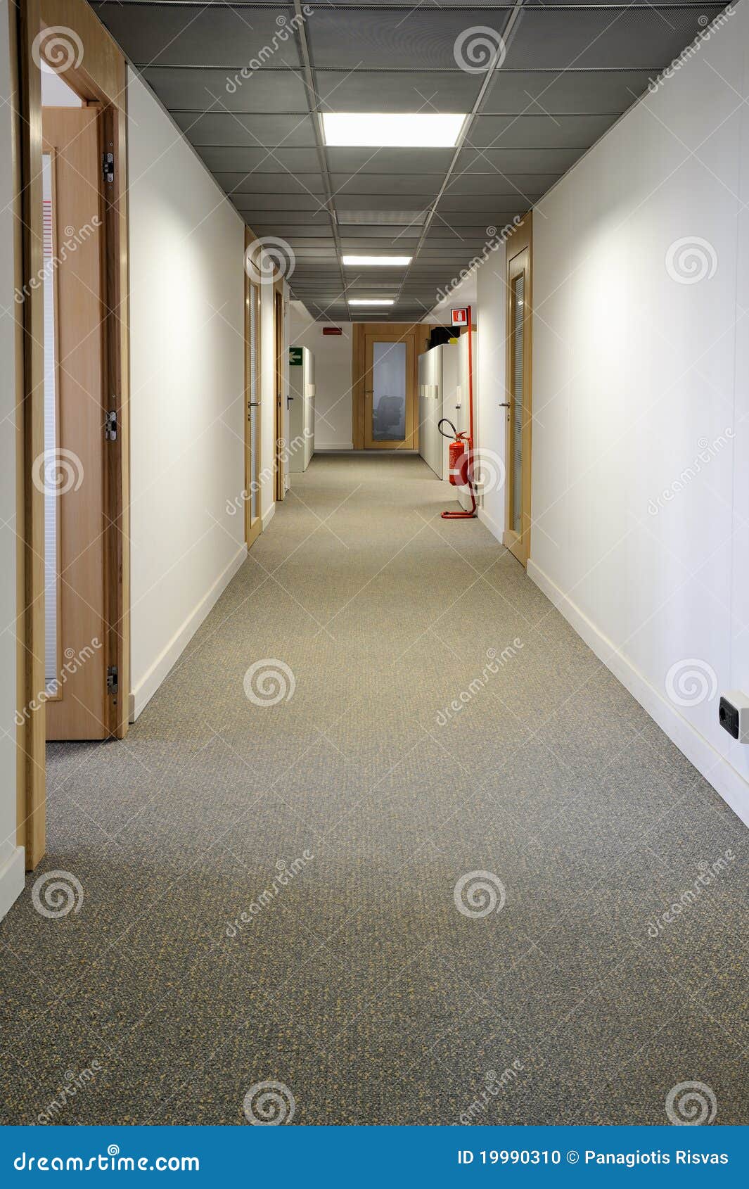 Office corridor stock photo. Image of business, corridor - 19990310