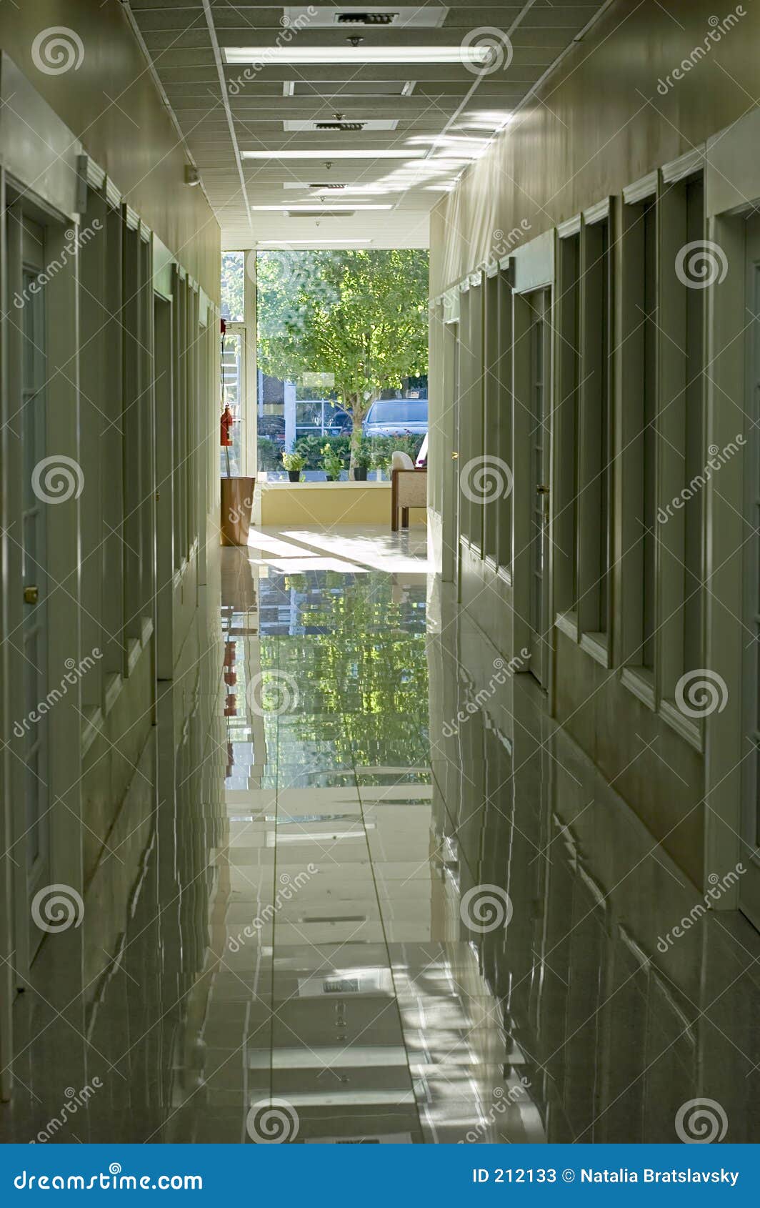 Office Corridor stock image. Image of offices, ceiling - 212133