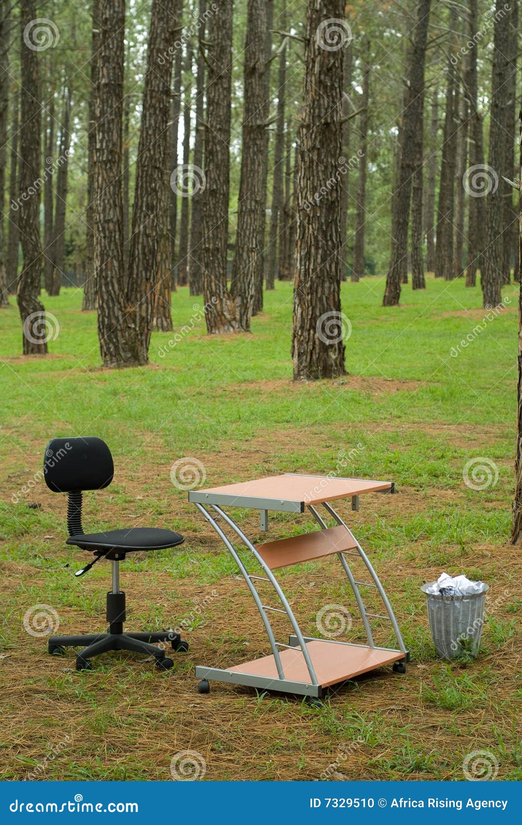 Office desk in forest stock photo. Image of park, desk - 7329510