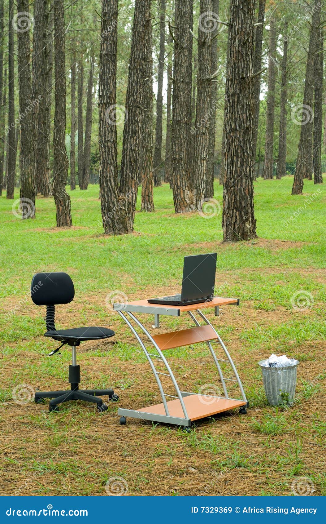Office Desk and Laptop in Forest Stock Image - Image of computer, chair ...