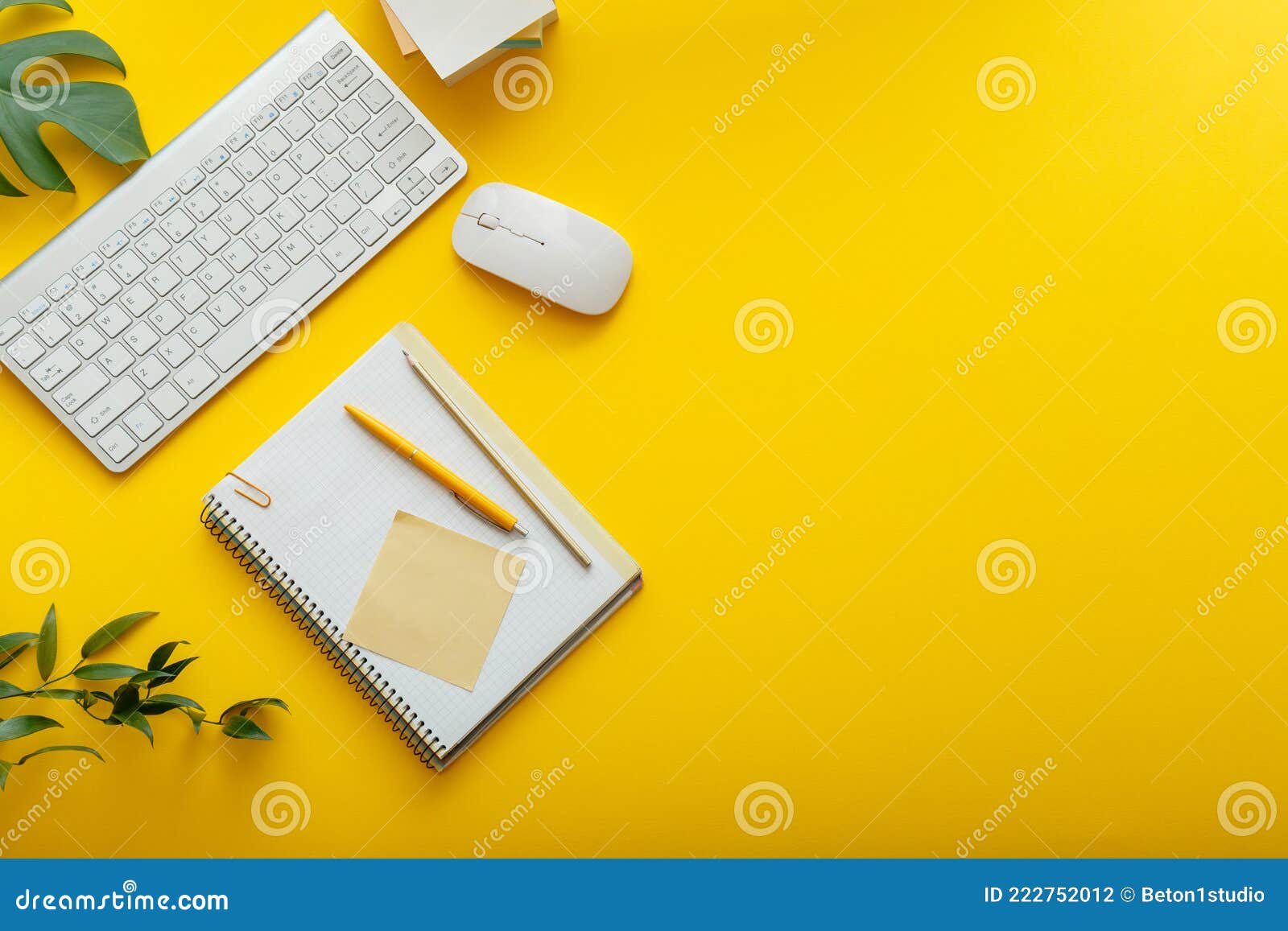 2,339 Computer Mouse Layout Stock Photos - Free & Royalty-Free Stock ...