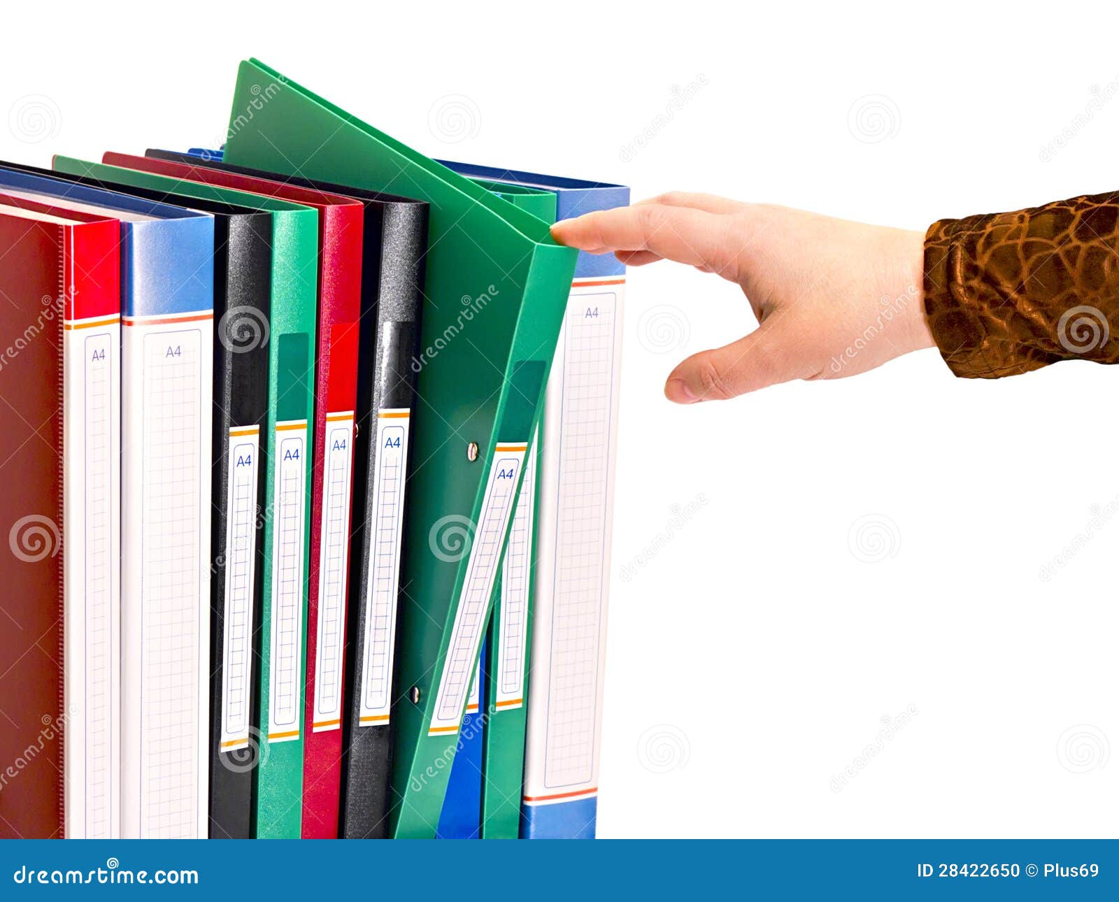 Office Document Folders Standing in a Row Stock Photo - Image of ...