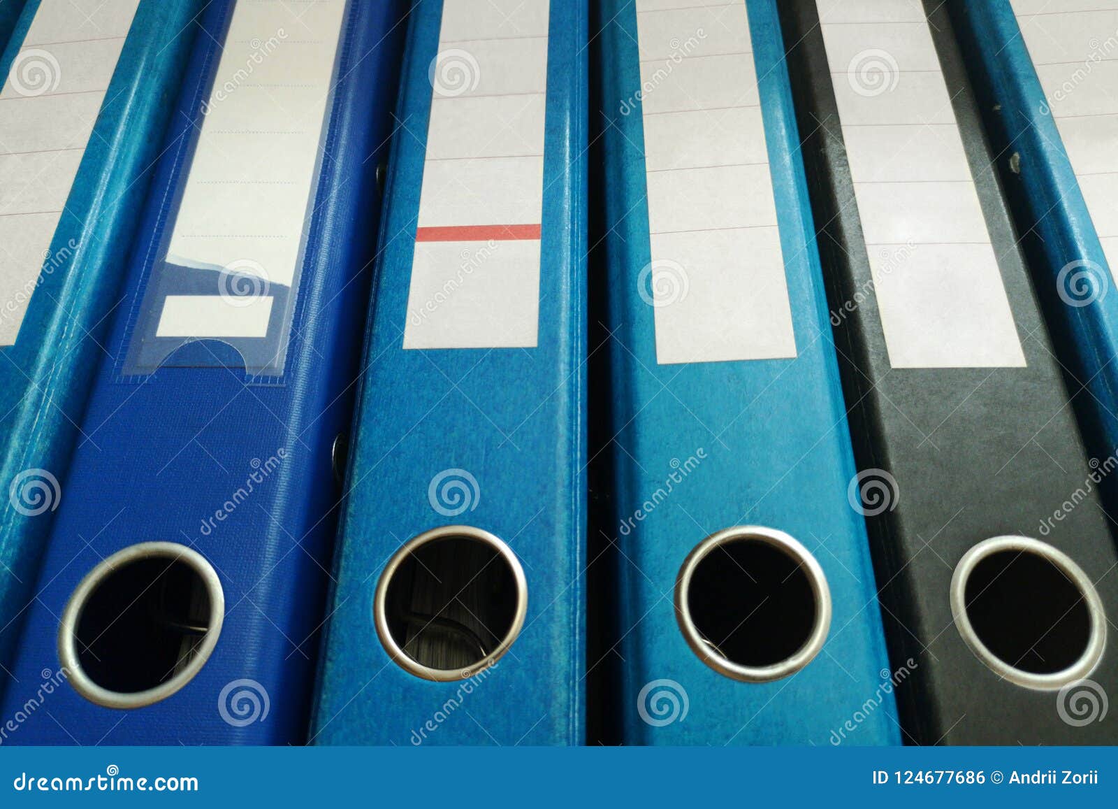 Office Document Folders Standing in a Row. Document Organization Stock ...