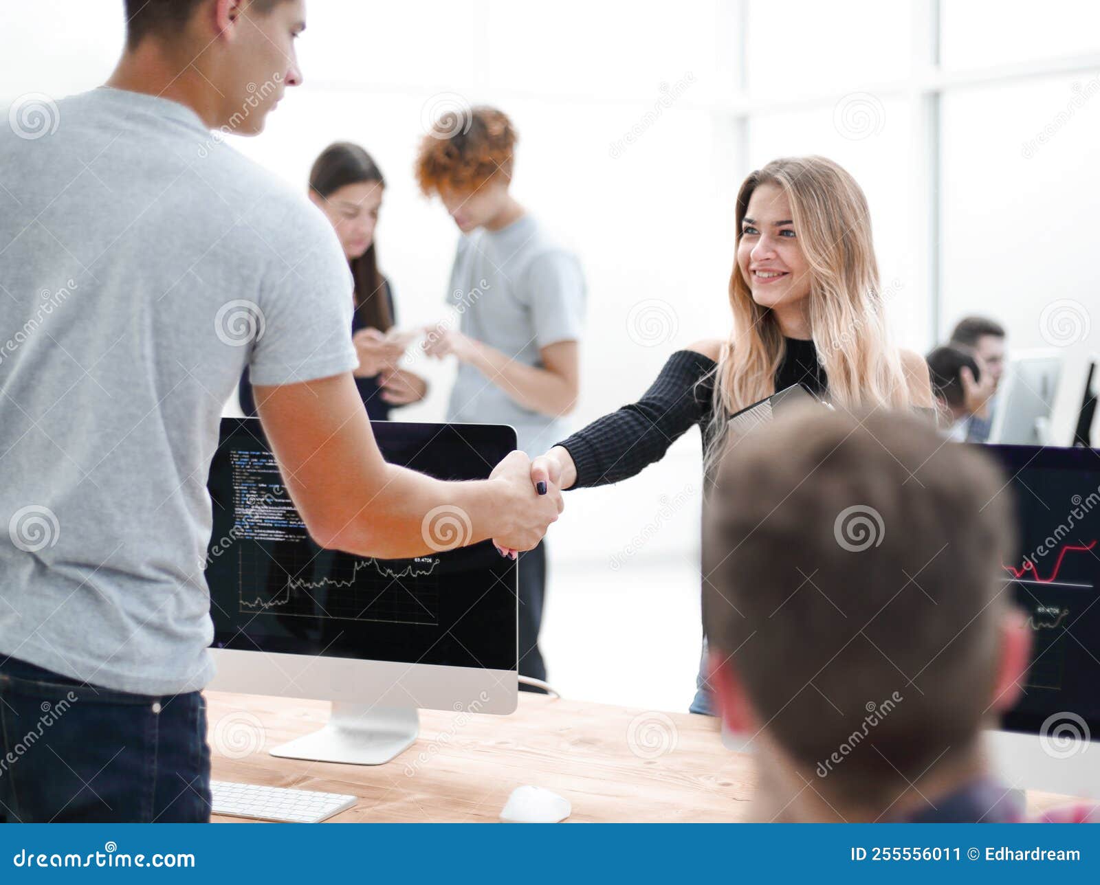 Office Employees Analyzing the Information Received in the Office Stock ...