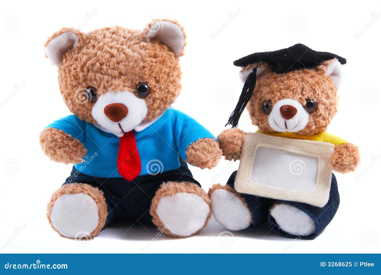 Office, Graduate Teddy Bear Stock Image - Image of male, care: 3268625