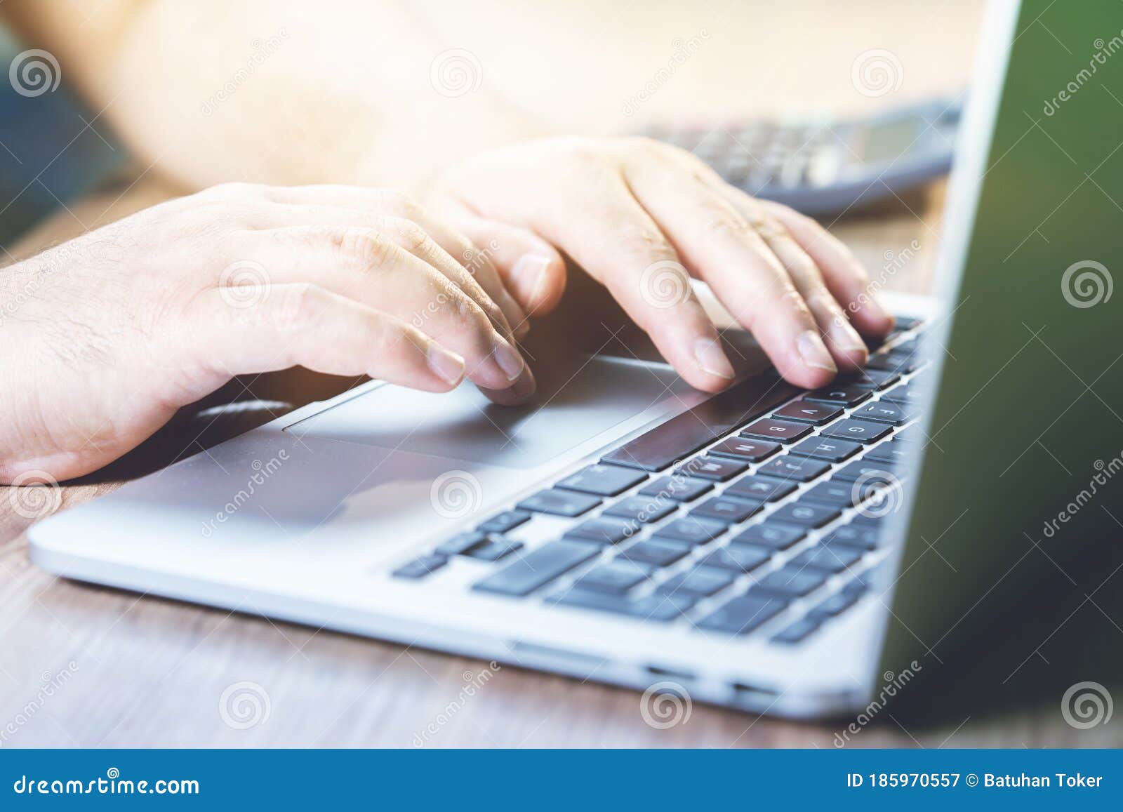 Website Developer Working Using Laptop at the Office Stock Image ...