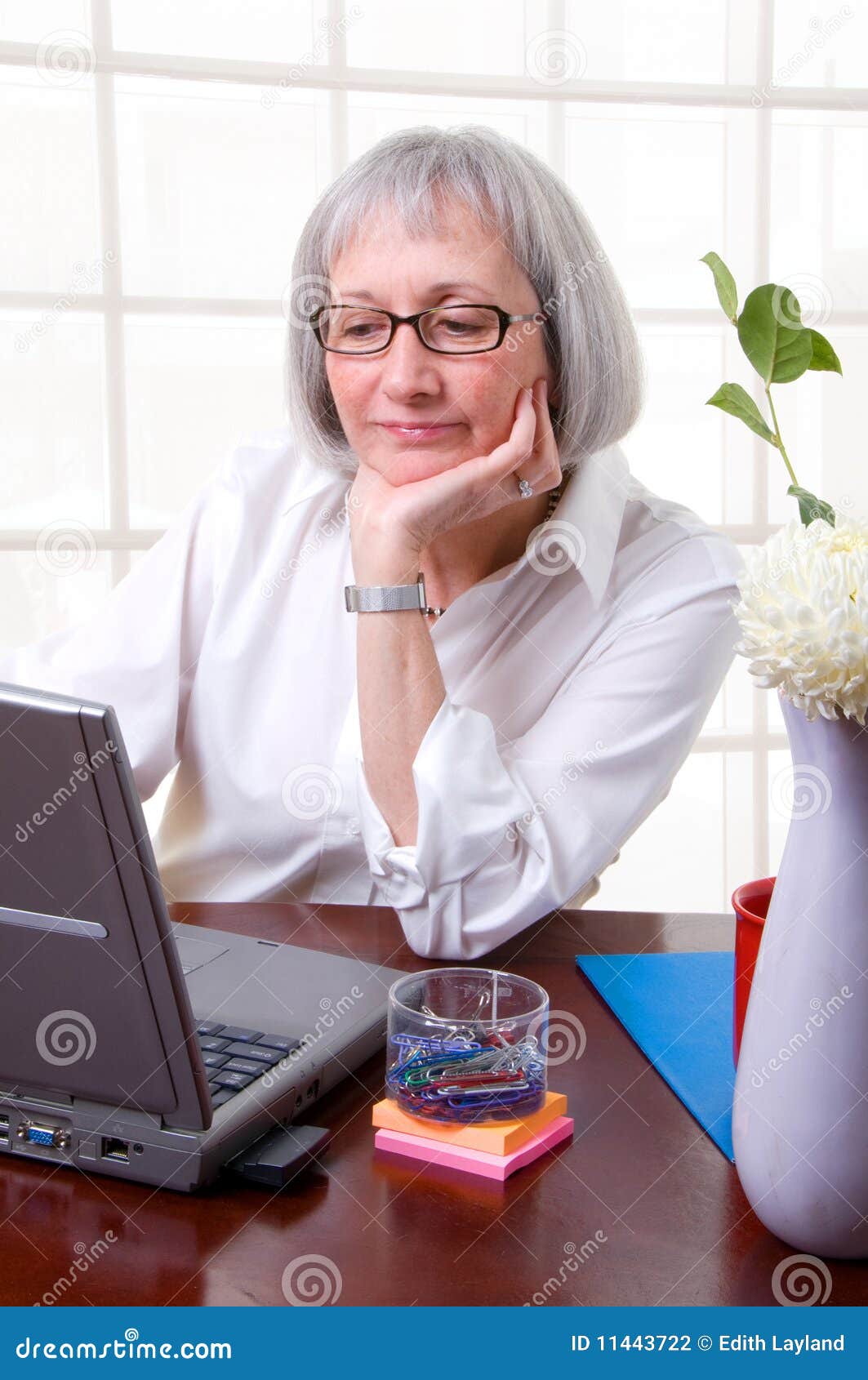 Office Lady stock photo. Image of businesswoman, work - 11443722