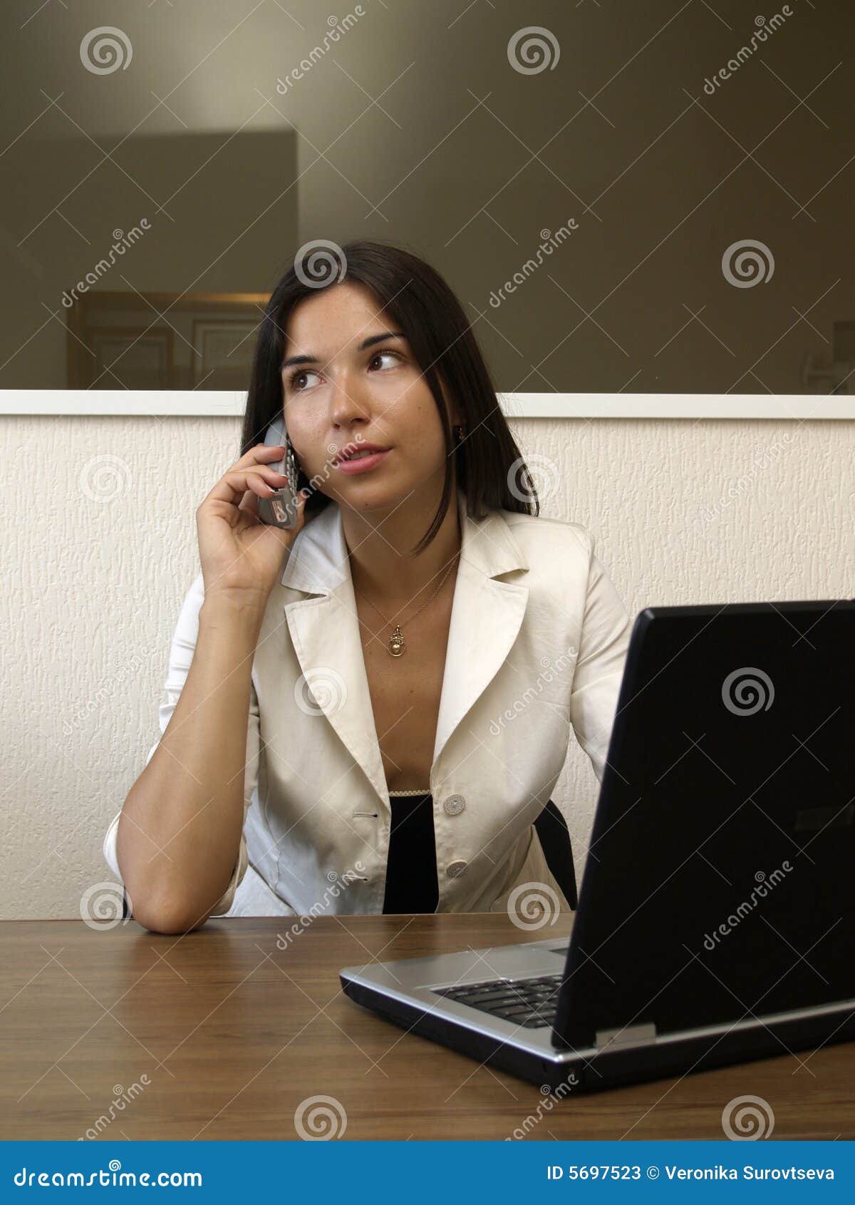 Office lady stock image. Image of laptop, office, person - 5697523