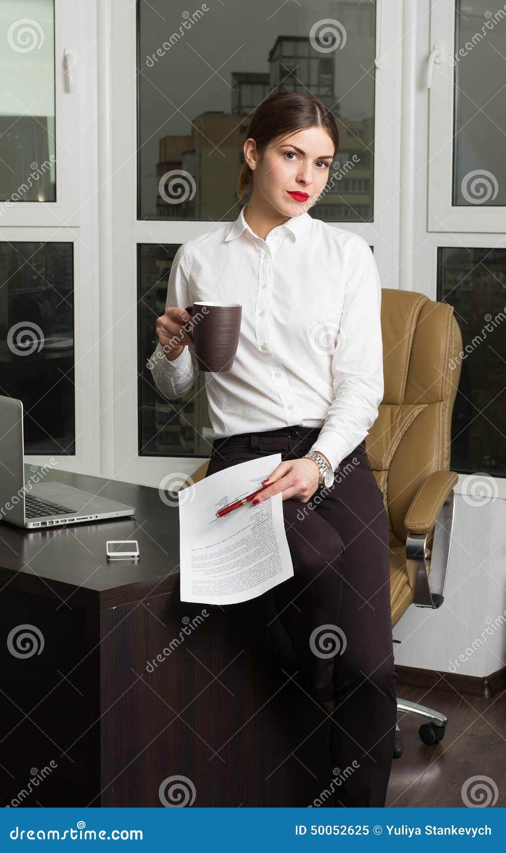 Office lady stock image. Image of crossed, successful - 50052625