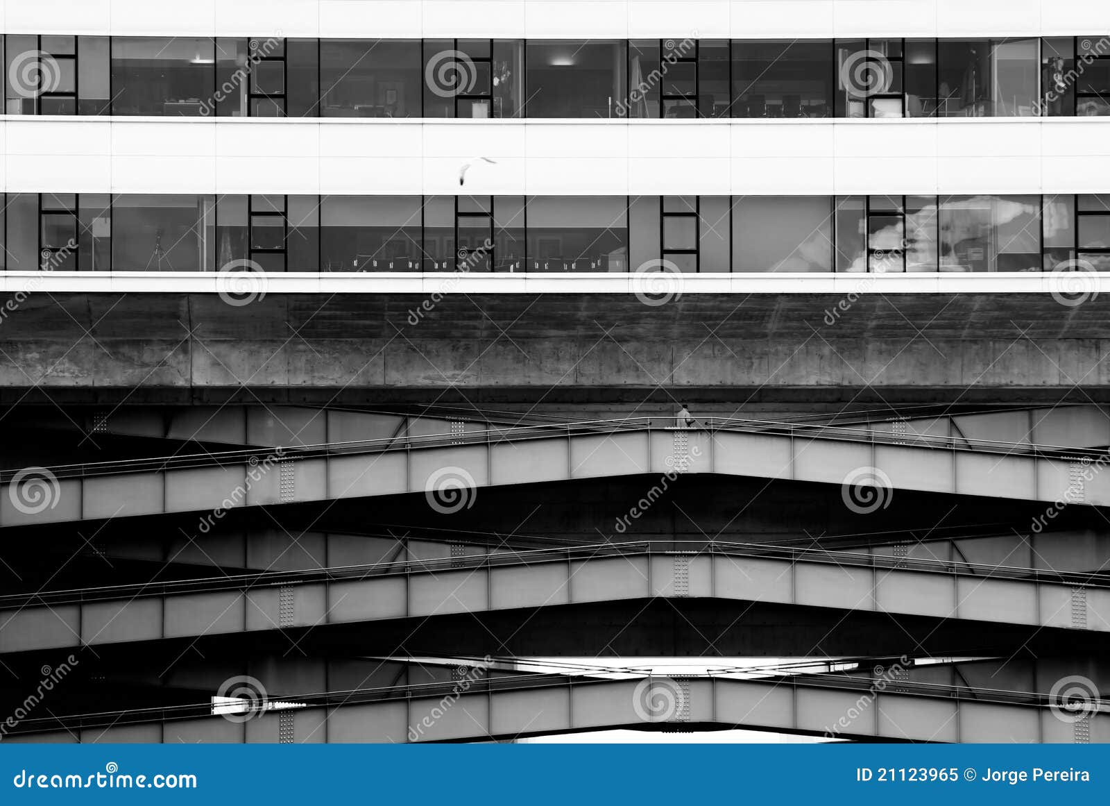 Office lines stock image. Image of white, building, town - 21123965