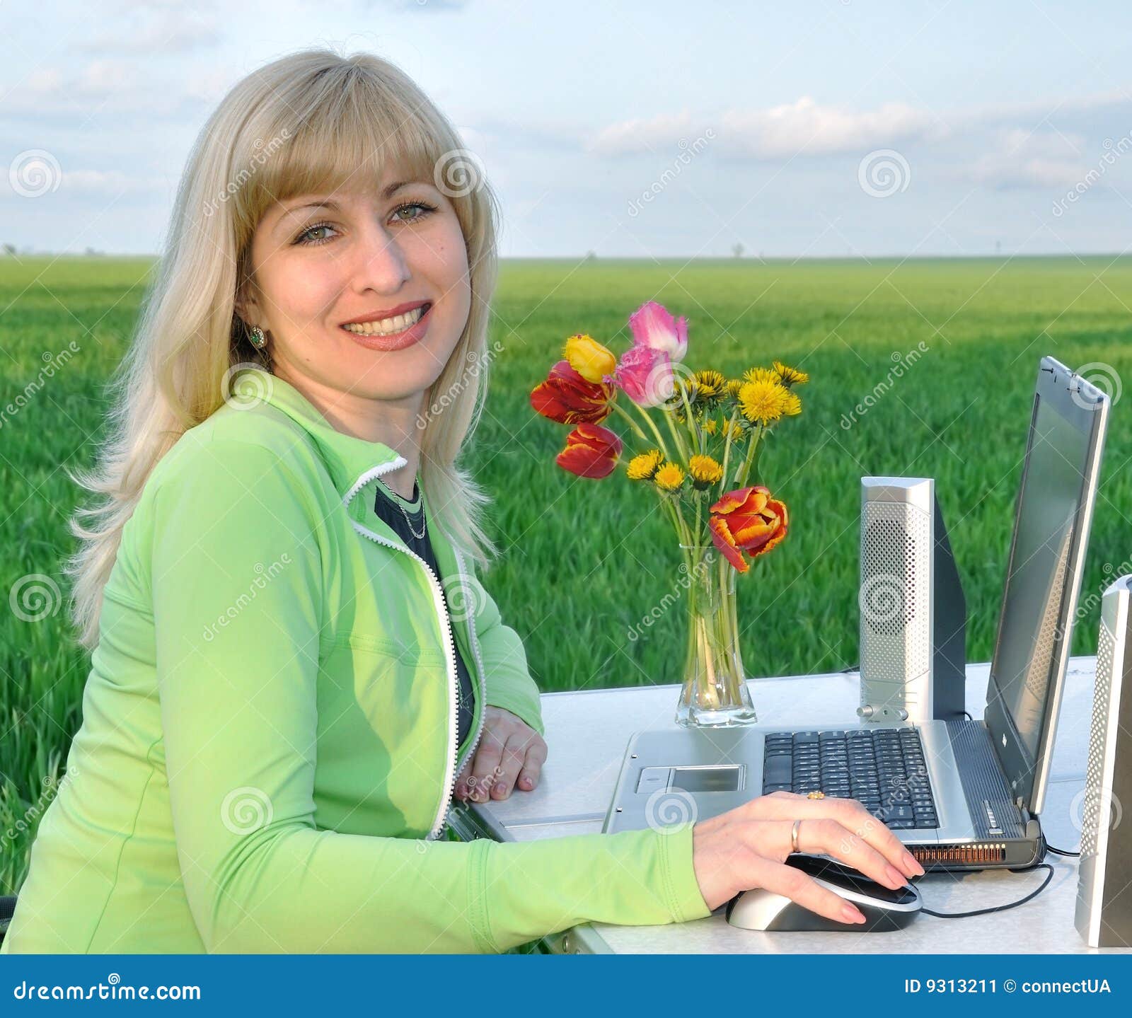 Office on the nature stock image. Image of hair, connecting - 9313211