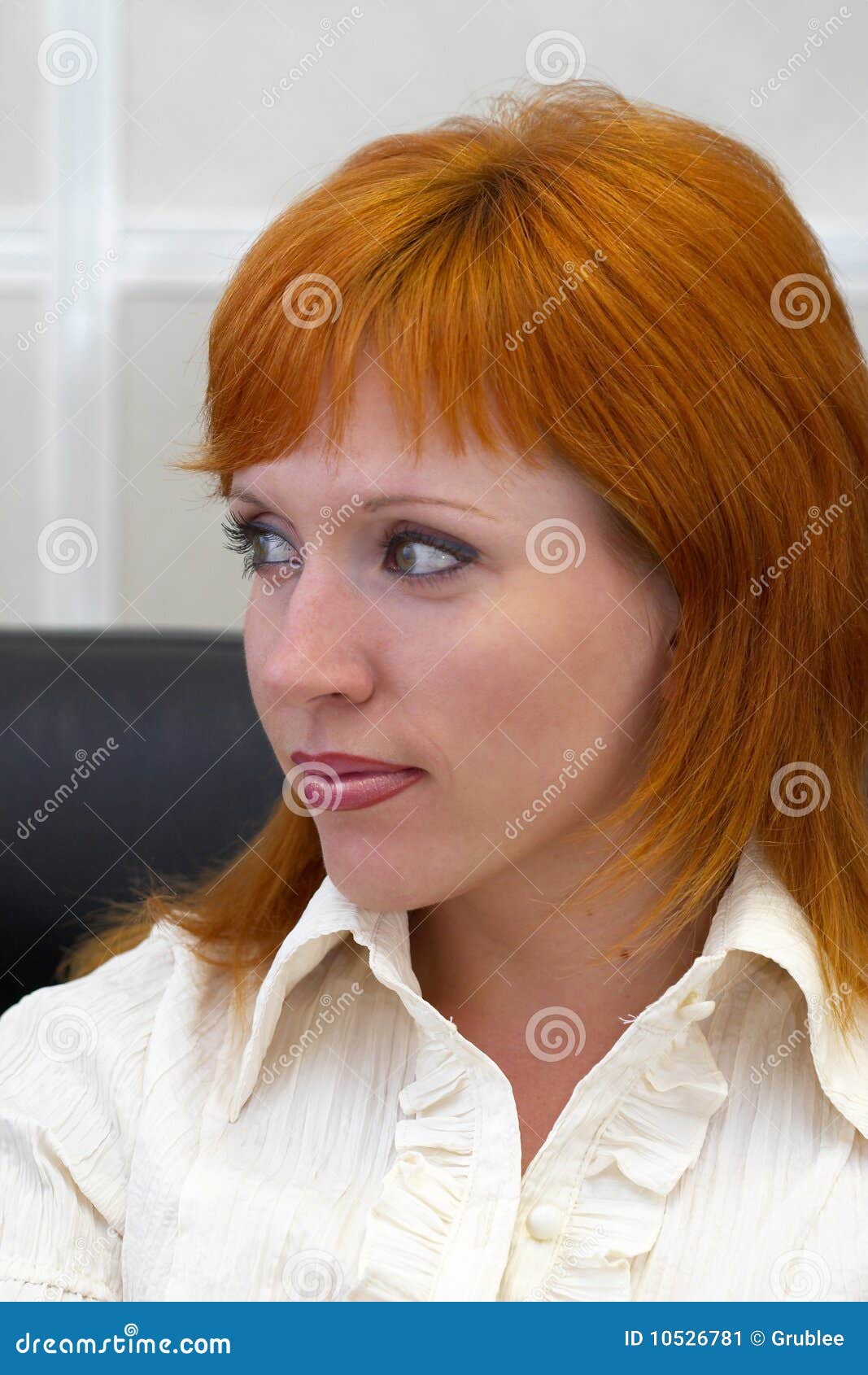 Office portrait stock image. Image of business, attractive - 10526781