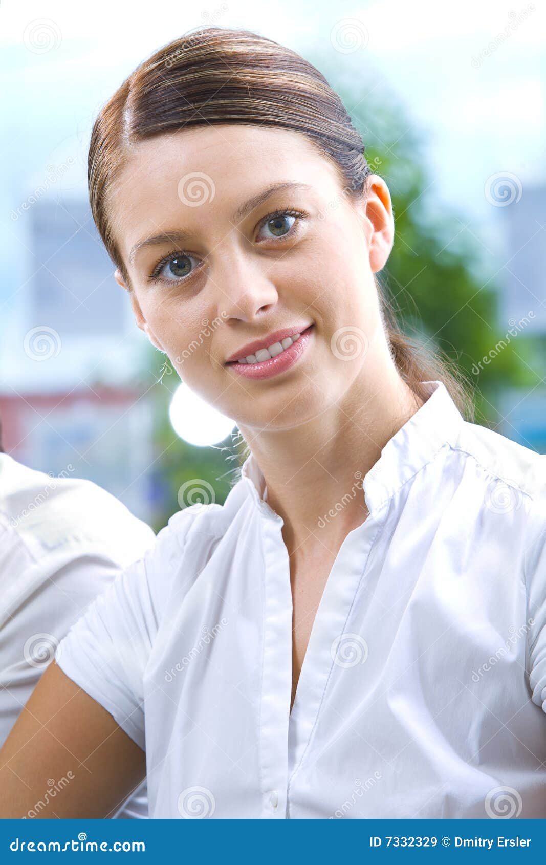 Office portrait stock image. Image of colleague, employee - 7332329