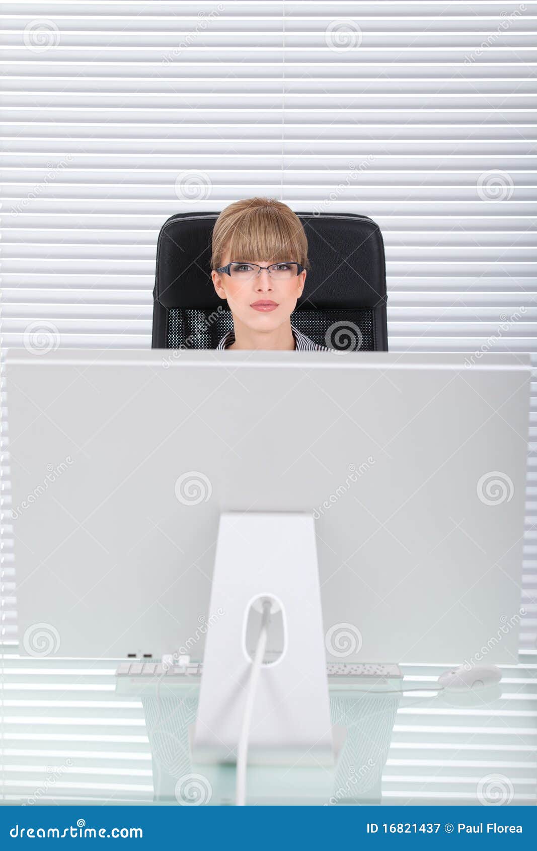 Office Potrait of a Young Business Woman Stock Image - Image of desk ...