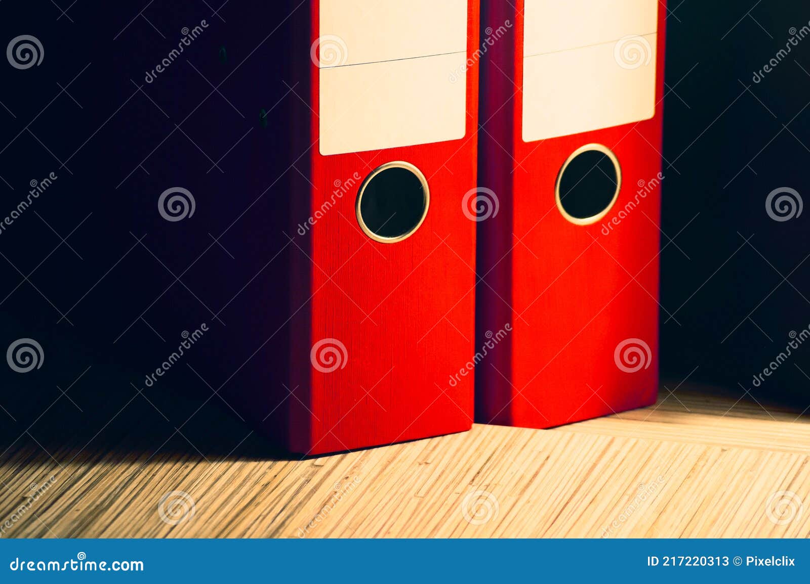 Office Record Files. Pair of Folders Labeled Template Stock Image ...