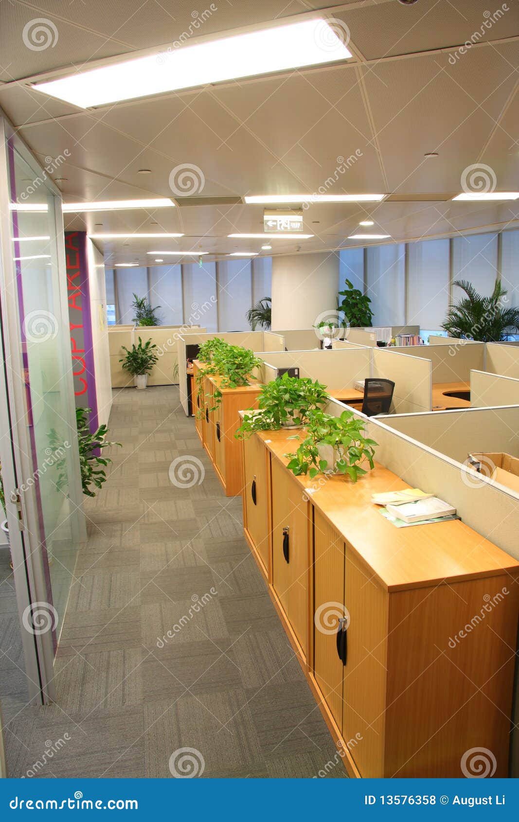 Office settings stock photo. Image of armchair, director - 13576358