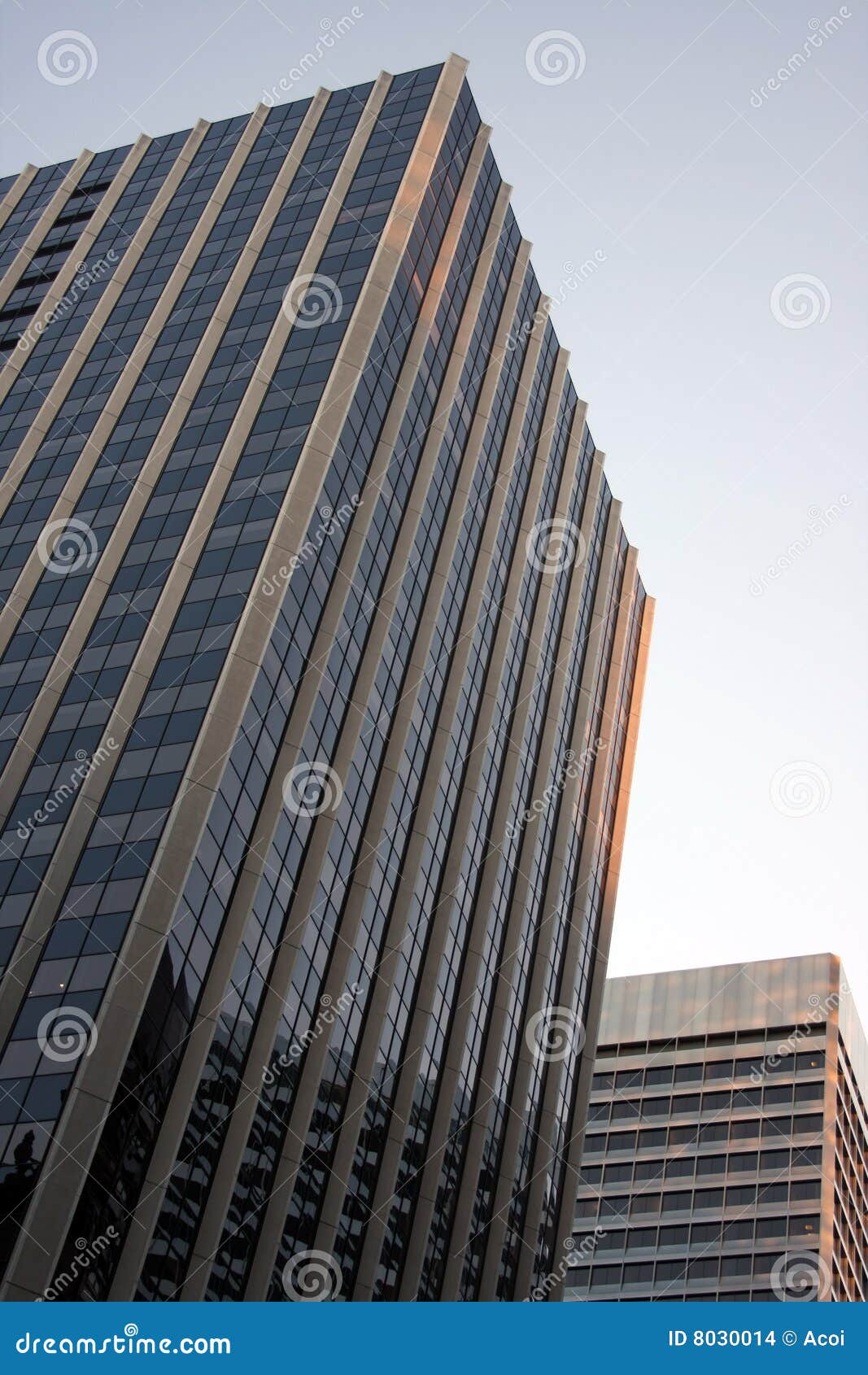 Office Skyscraper stock photo. Image of brown, steel, life - 8030014