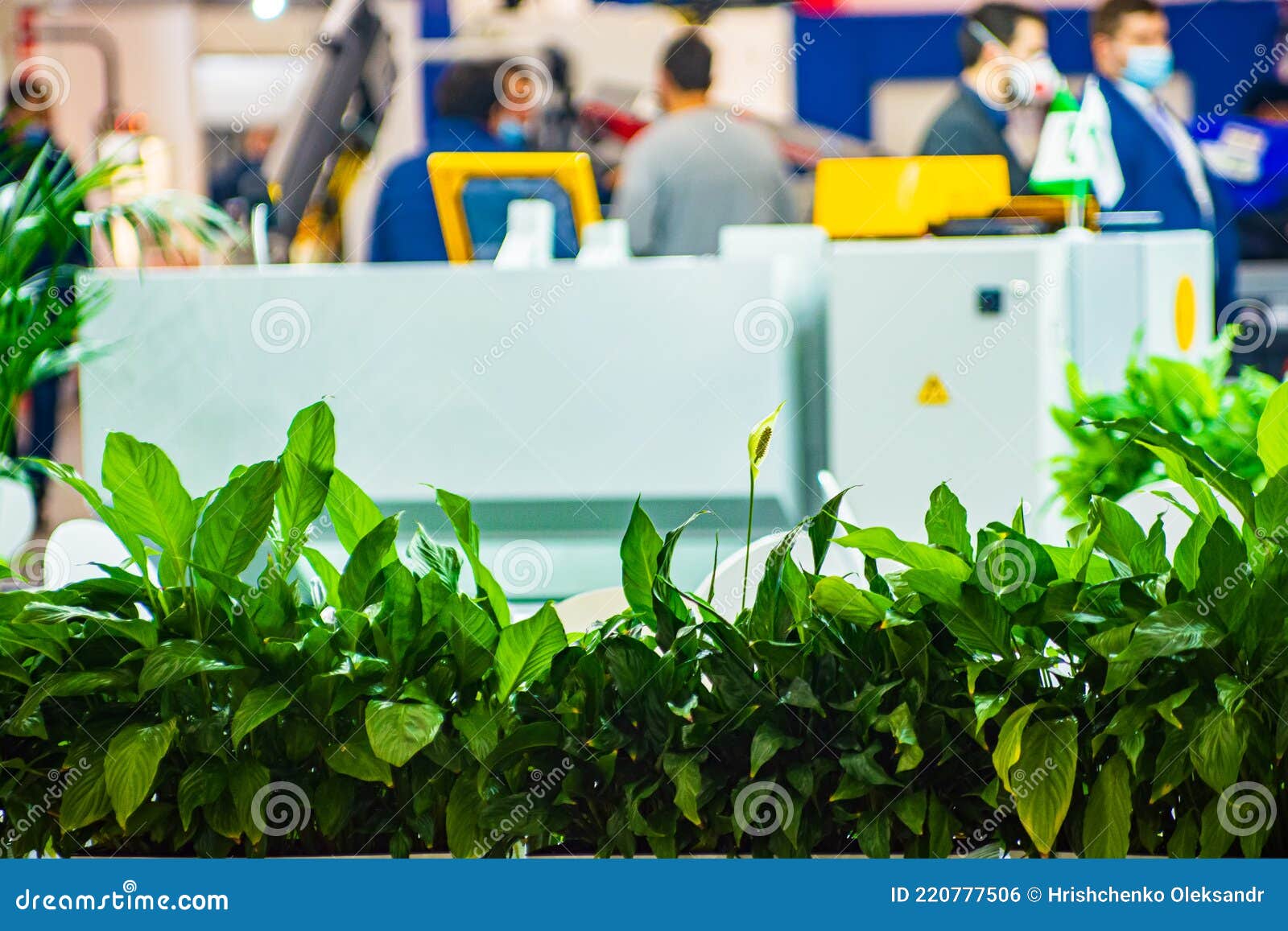 Office Space Fenced Off by Green Plants Stock Photo - Image of class ...