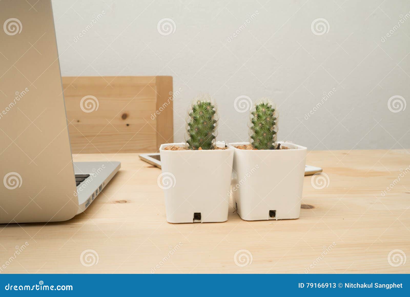 Office Table with Beautiful Cactus Flower on White Flowerpot and Stock ...