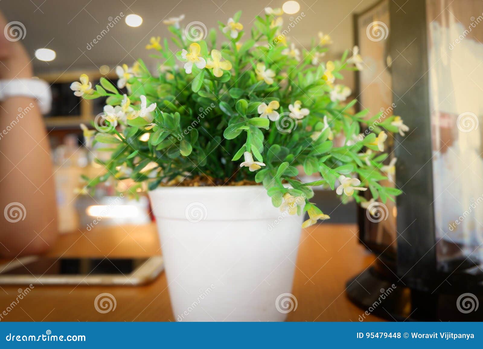 Office Table with Flower Pot. Stock Photo - Image of presentation ...