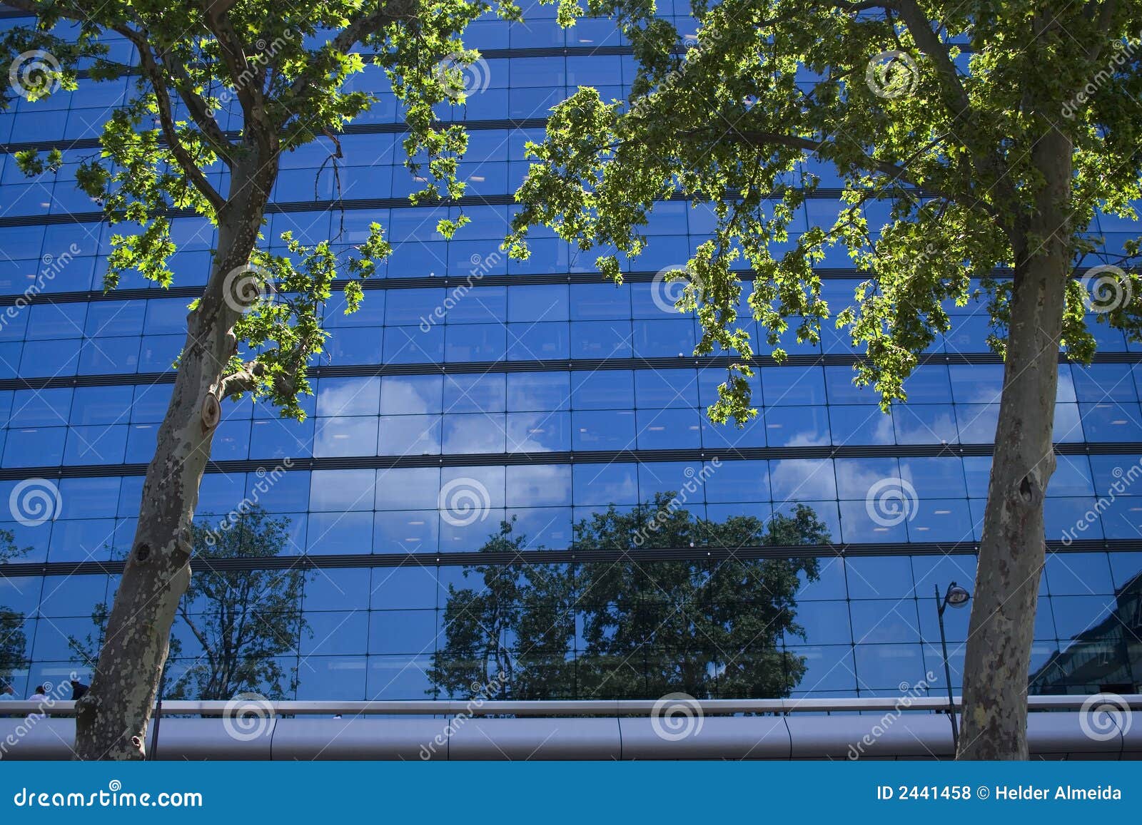 Office between the trees stock photo. Image of leaves - 2441458