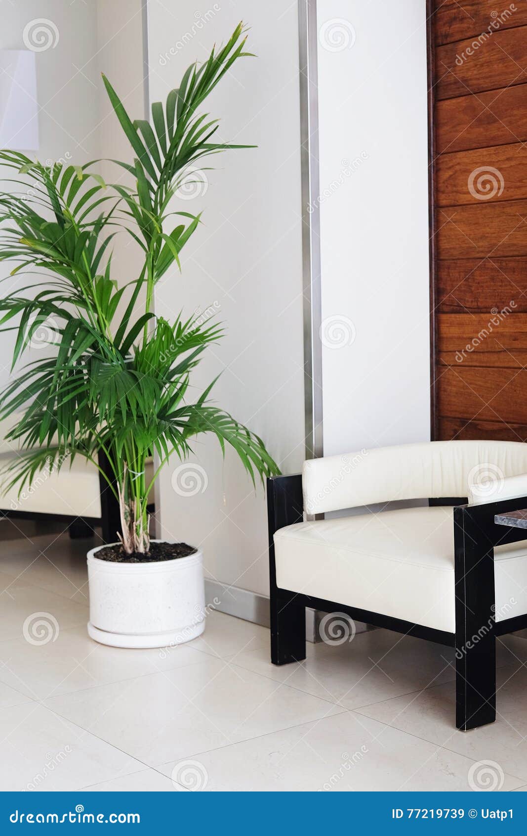 Office visitor room stock image. Image of lobby, door - 77219739