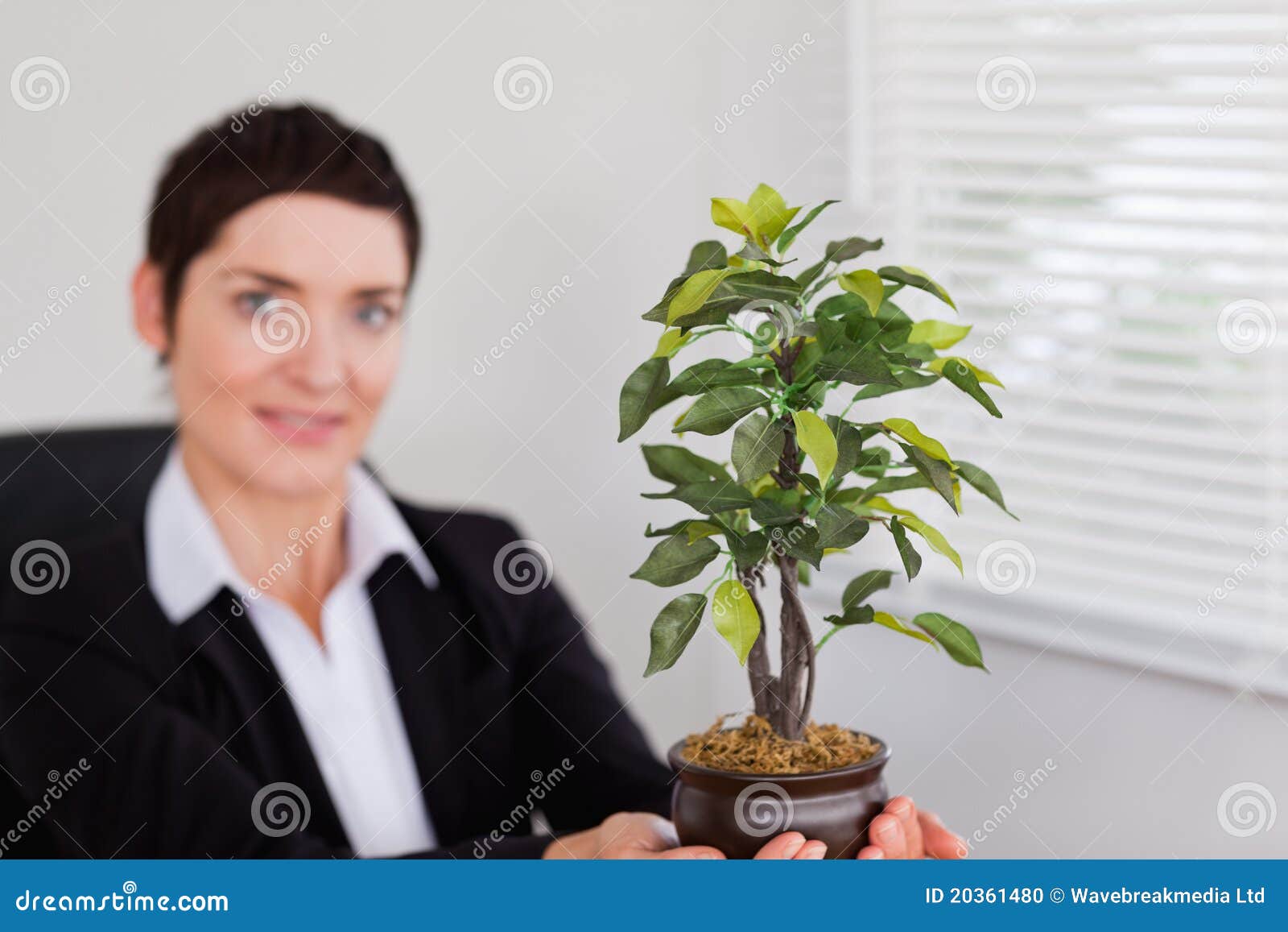 Office Worker Holding a Plant Stock Photo - Image of executive, jolly ...