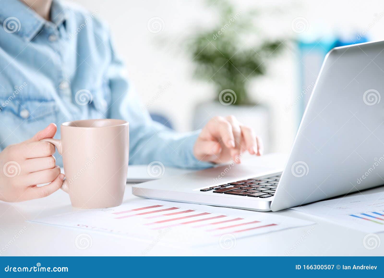 Office Worker Working on a Laptop Stock Image - Image of person, office ...
