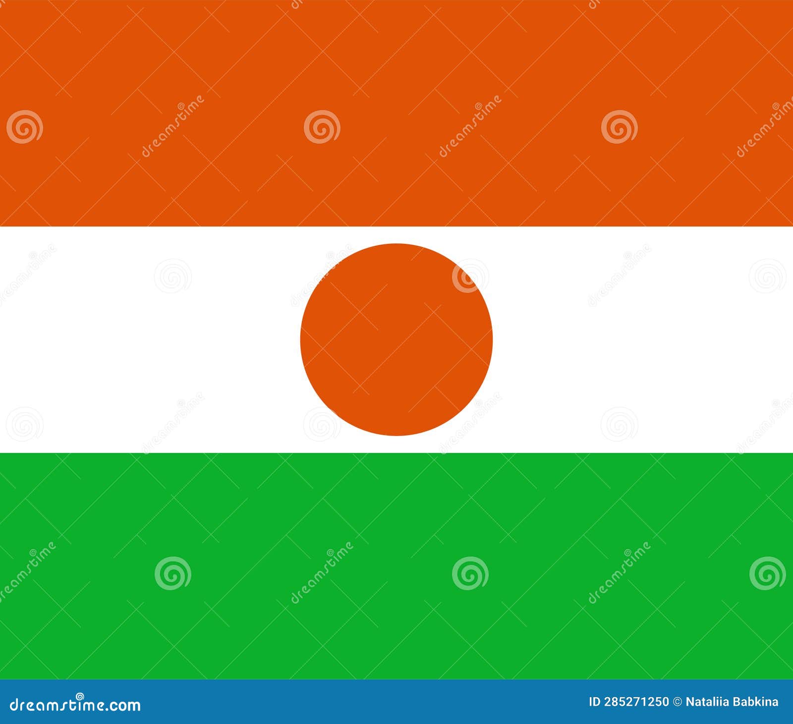 The Official Current Flag of the Republic of Niger. State Flag of Niger ...