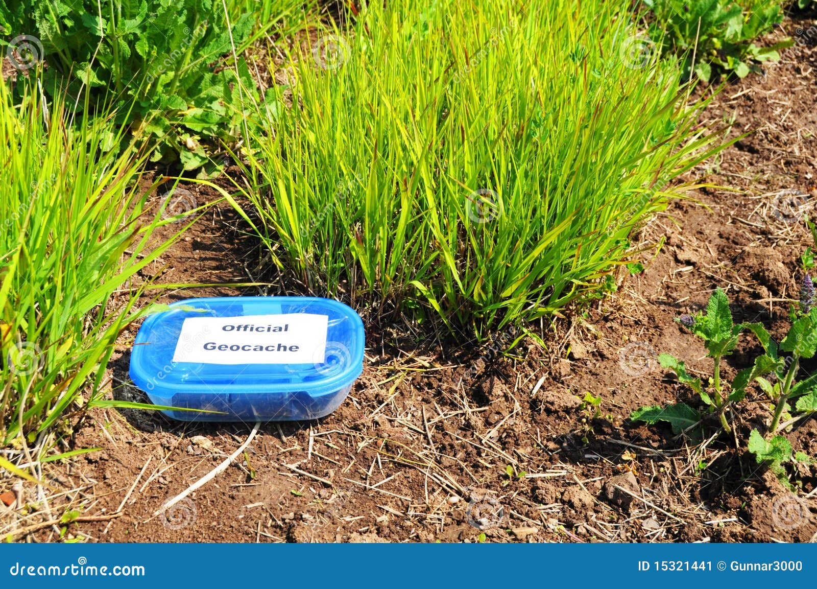 Official geocache stock image. Image of cache, waypoint - 15321441