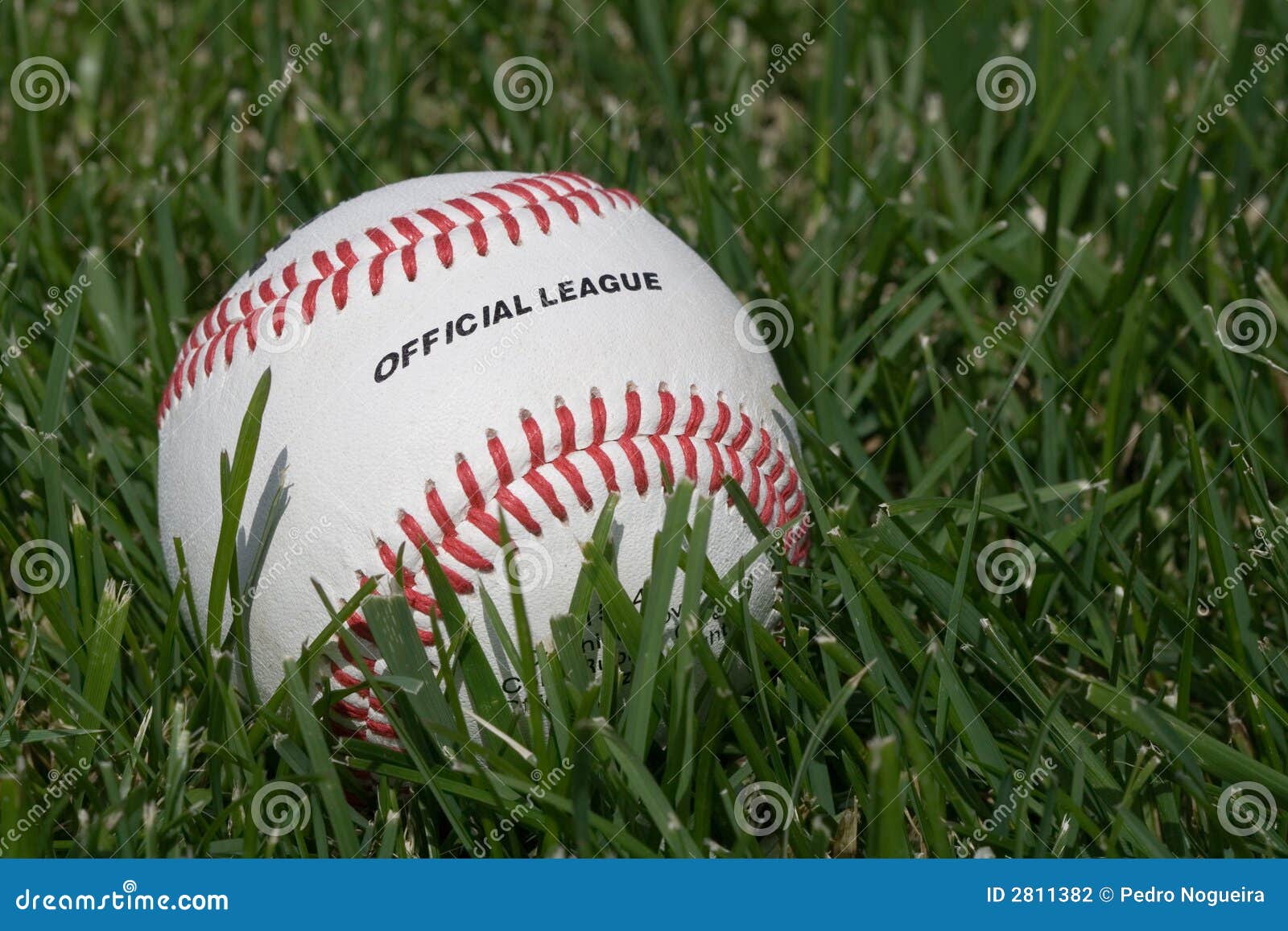 Officieel Honkbal Op Het Gras Picture. Image: 2811382