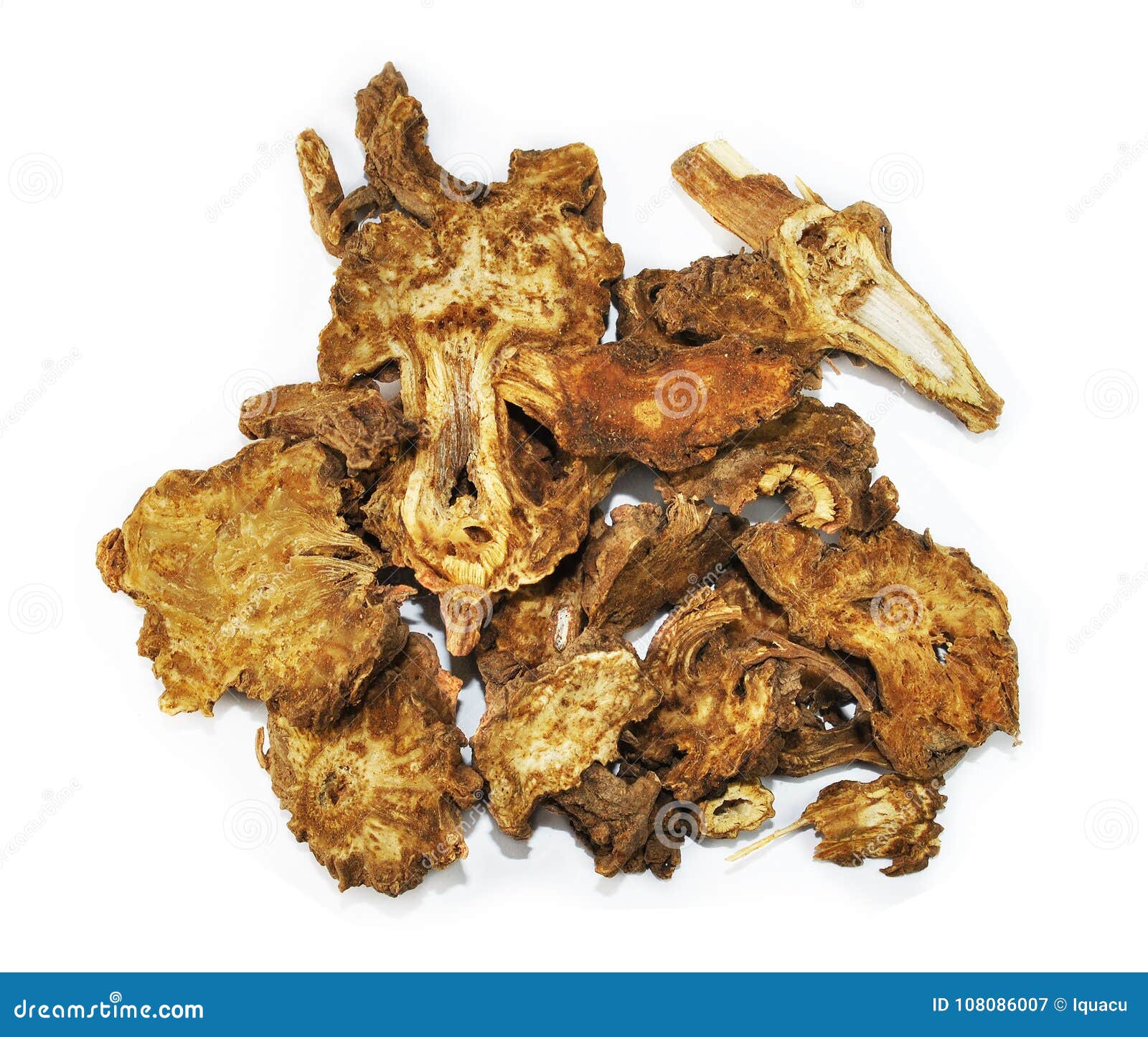 Officinalis De La Magnolia Hou Po Imagen de archivo - Imagen de salud ...