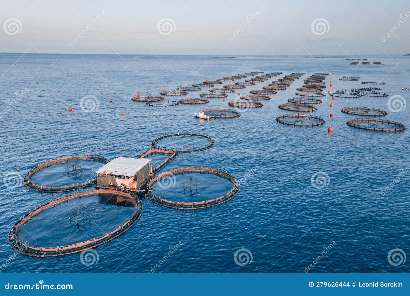 Offshore Floating Fish Farming Cages in Open Sea Stock Photo - Image of ...
