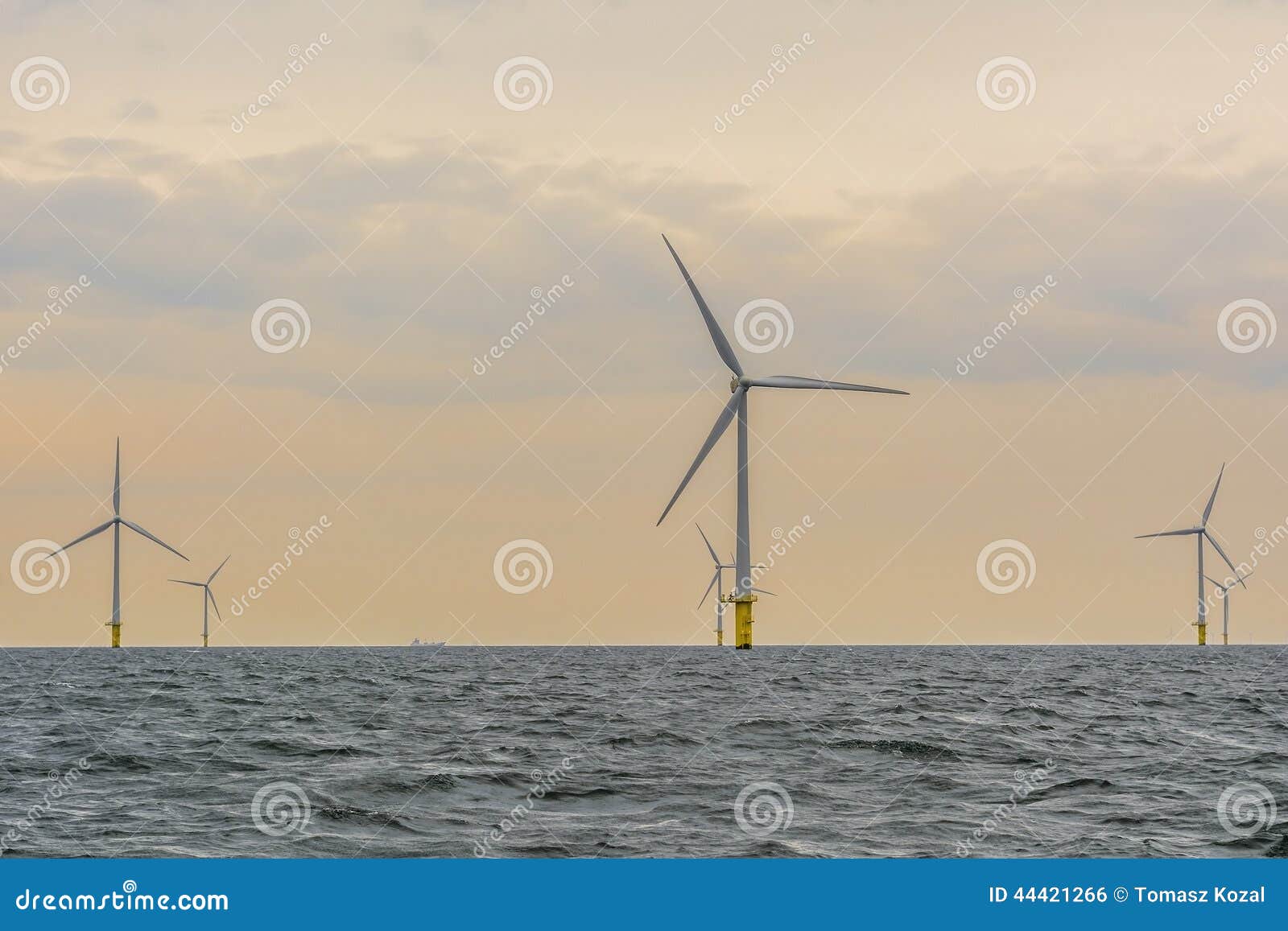 Offshore Wind Farm during Sunset Stock Photo - Image of alternative ...