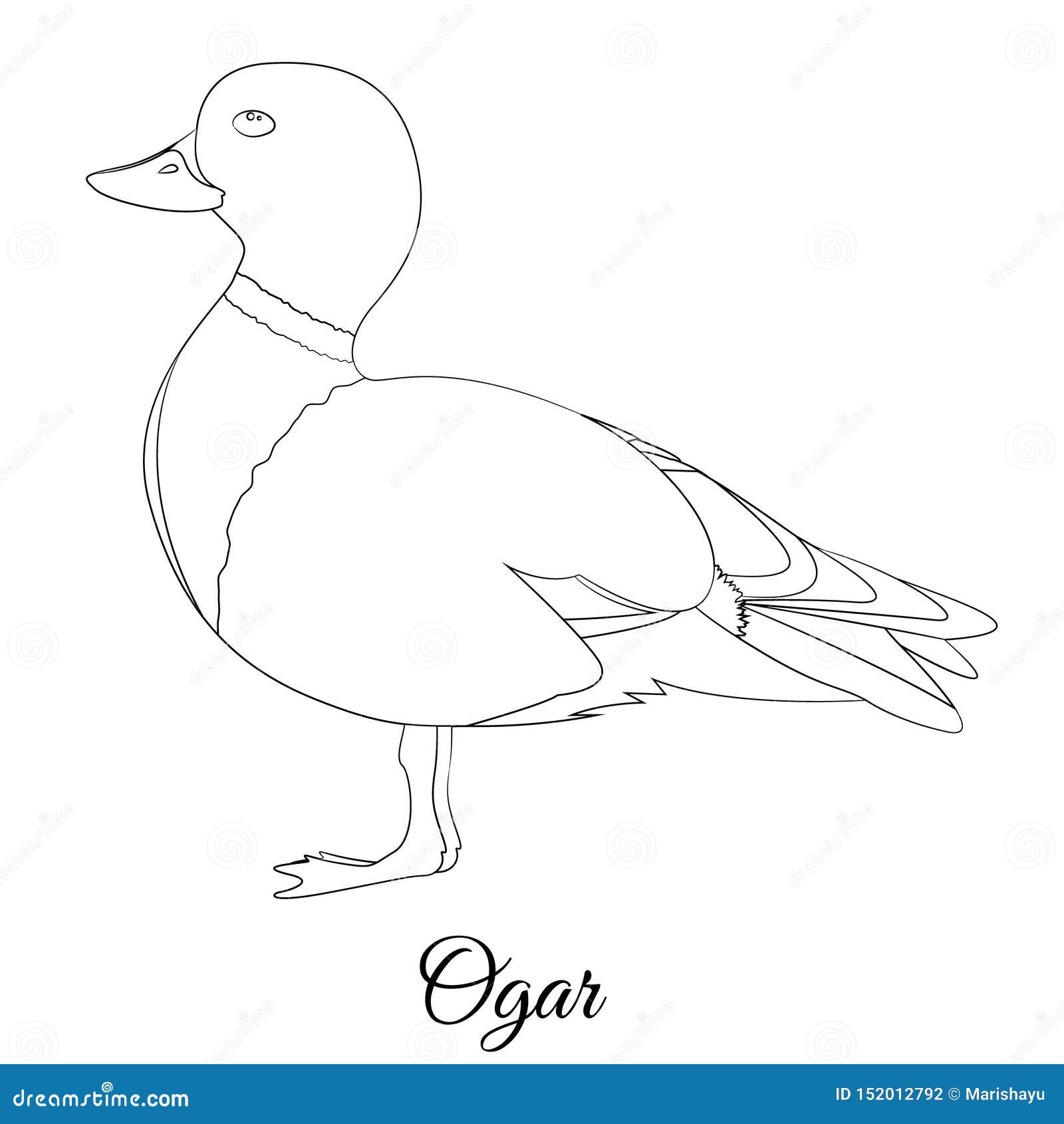 Ogar Stock Illustrations – 9 Ogar Stock Illustrations, Vectors ...