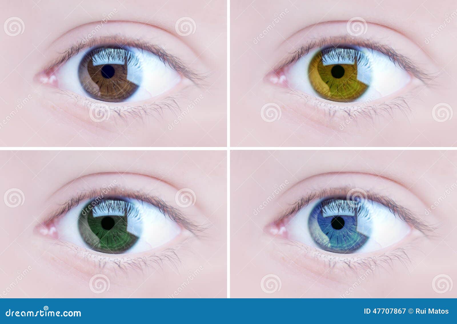 Ogen stock afbeelding. Image of groen, kleuren, schoonheid - 47707867