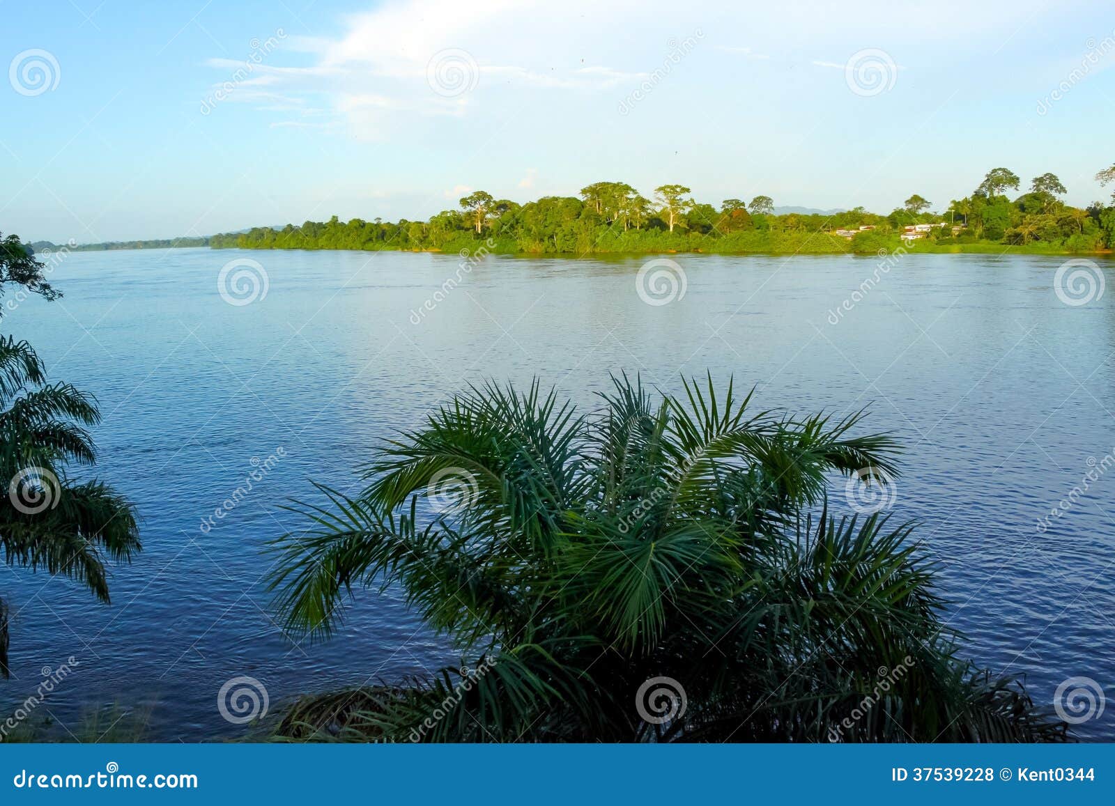 Ogowe river, Gabon stock photo. Image of gabon, equator - 37539228