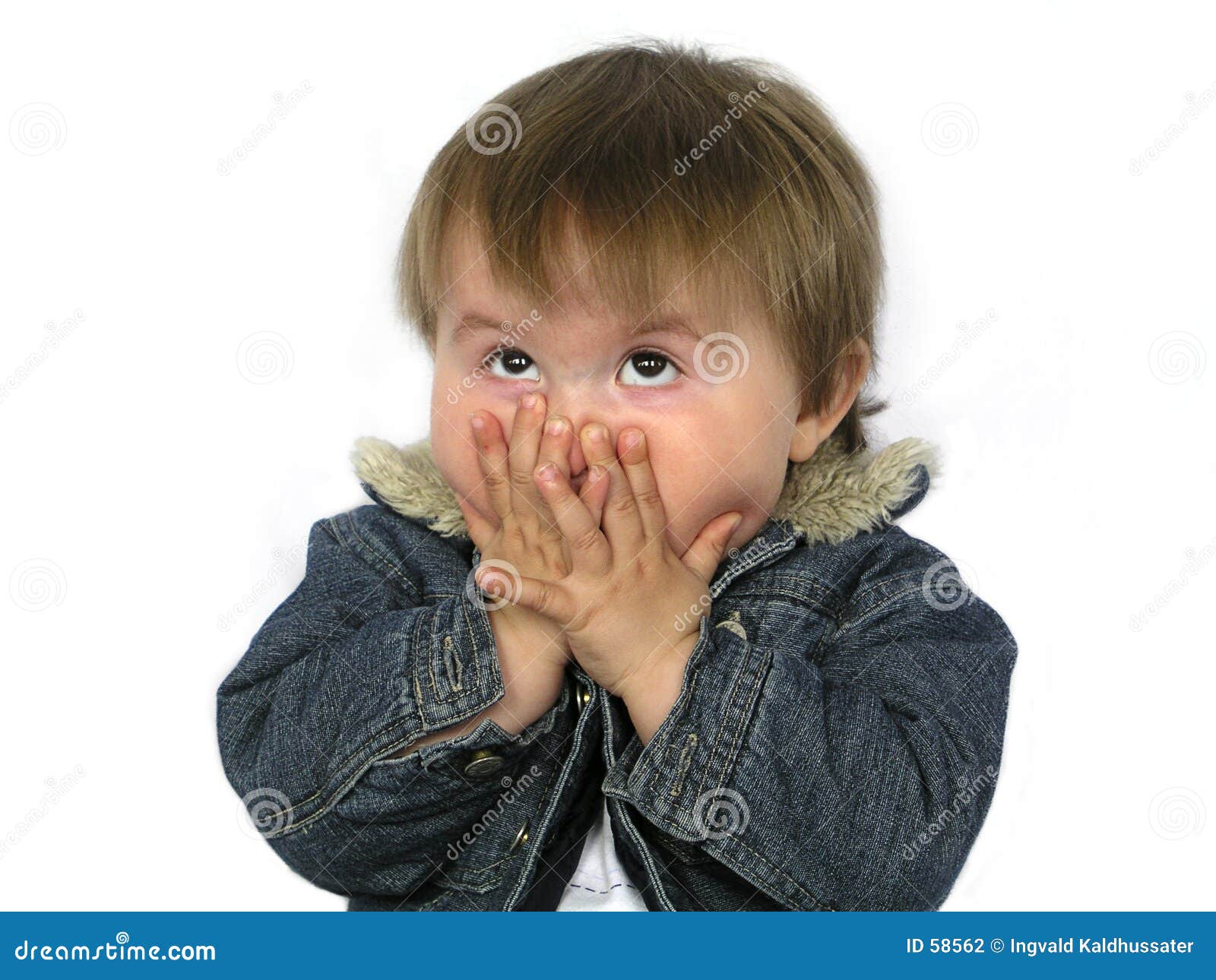 Oh dear... stock photo. Image of suprise, adorable, shout - 58562