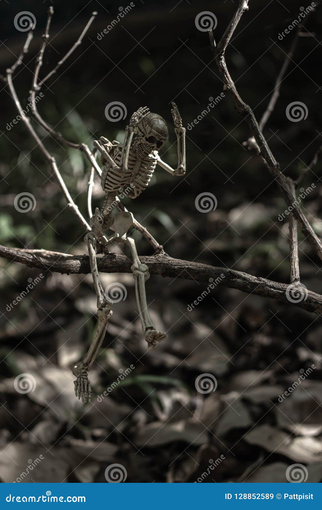 Oh my god skeleton stock image. Image of buddhist, bone - 128852589