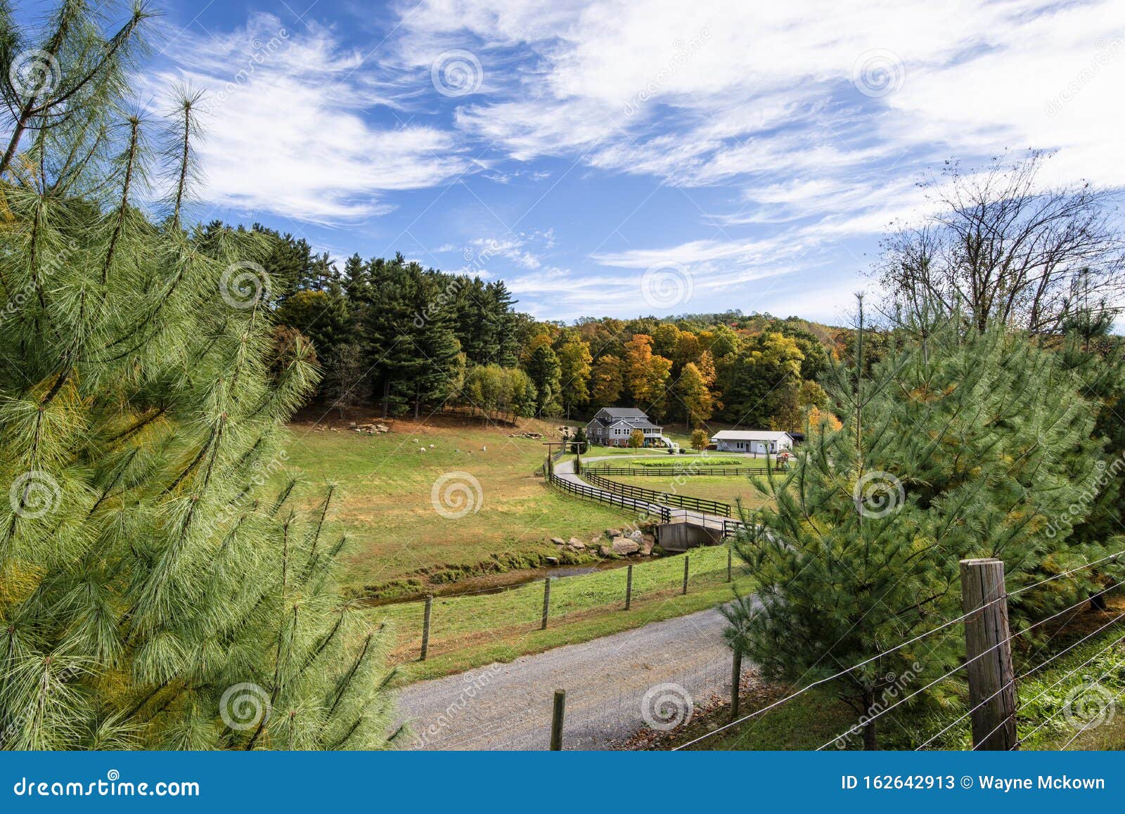 Ohio fall tree colors stock image. Image of floral, background - 162642913
