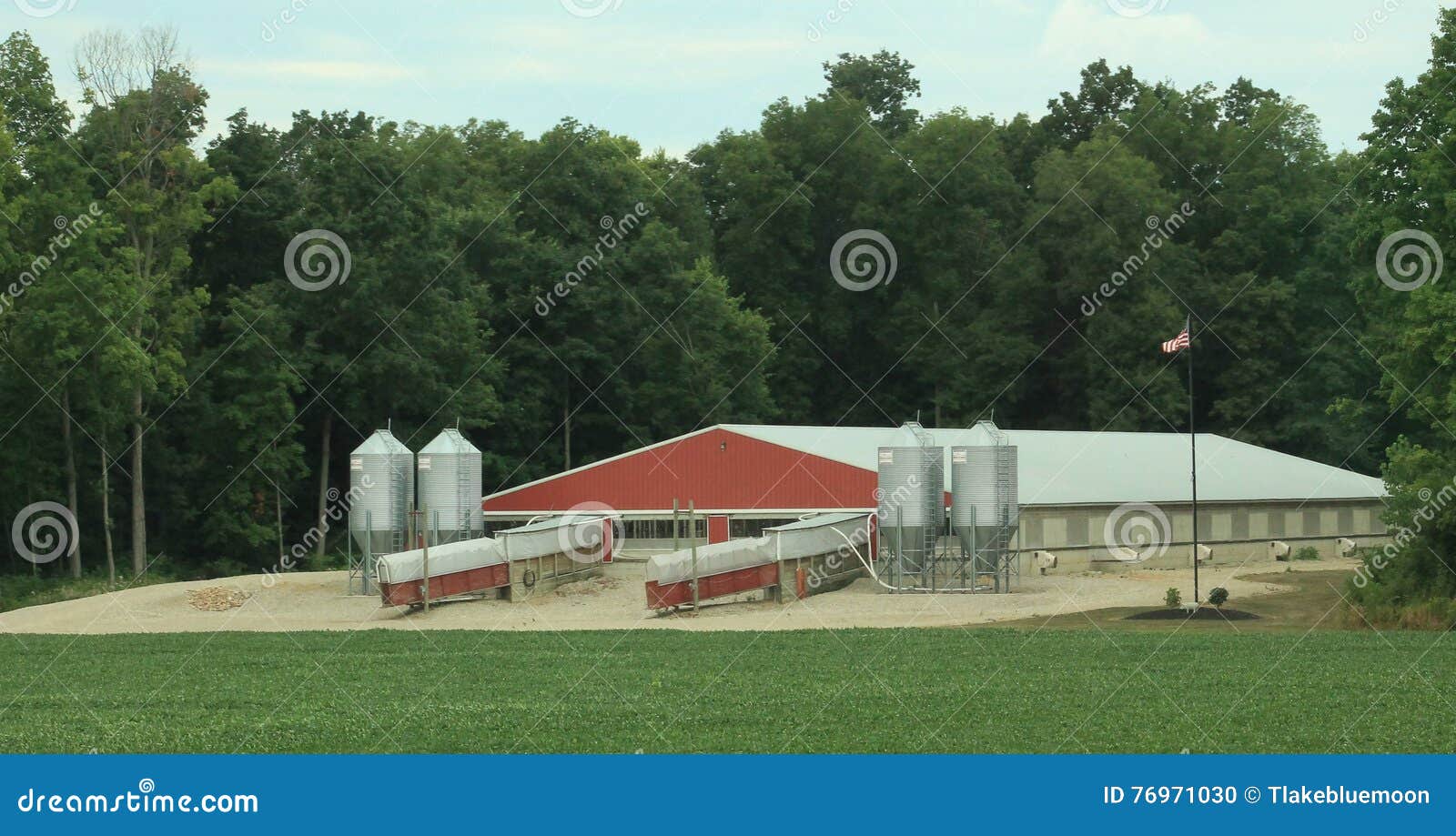 Ohio Pig Farm editorial image. Image of farming, work - 76971030