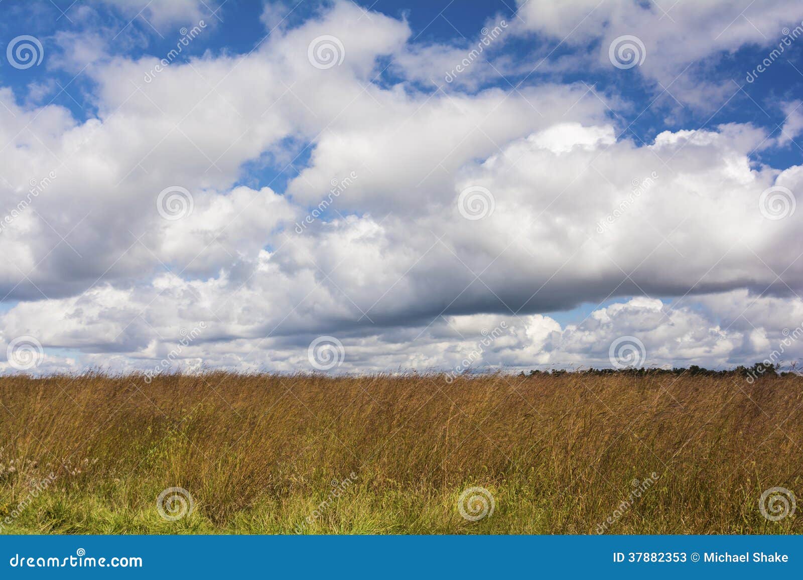 Ohio Prairie stock image. Image of blue, fall, tall, cumulus - 37882353