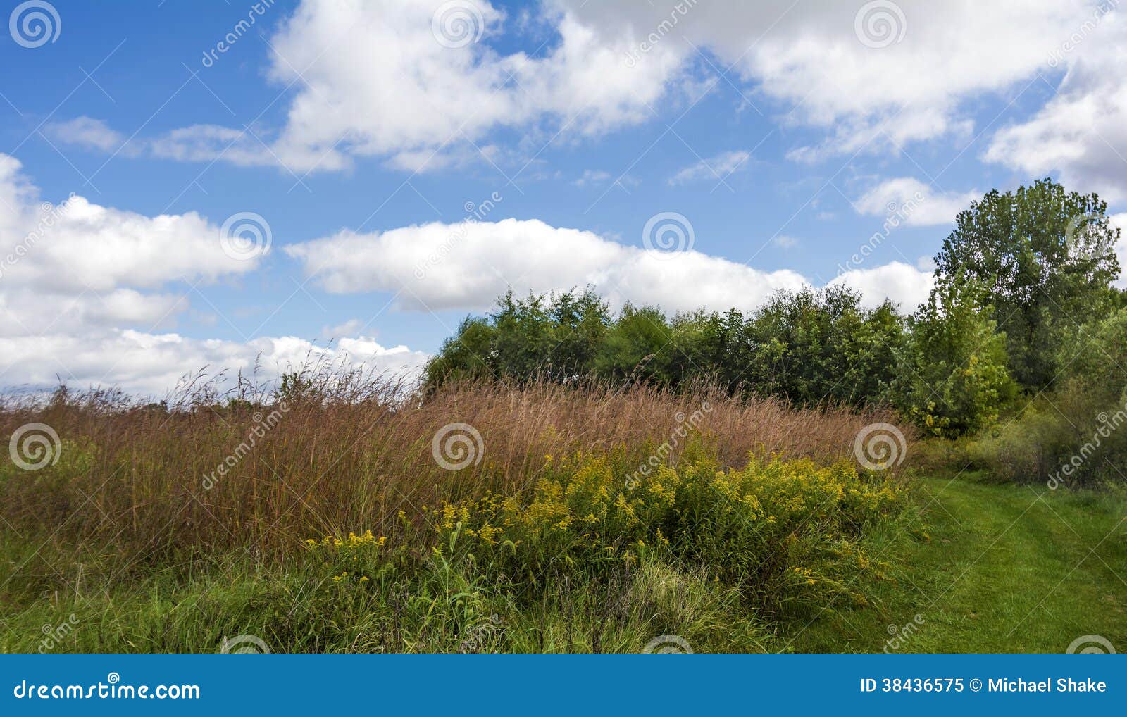 Ohio Prairie stock image. Image of blue, nature, goldenrod - 38436575